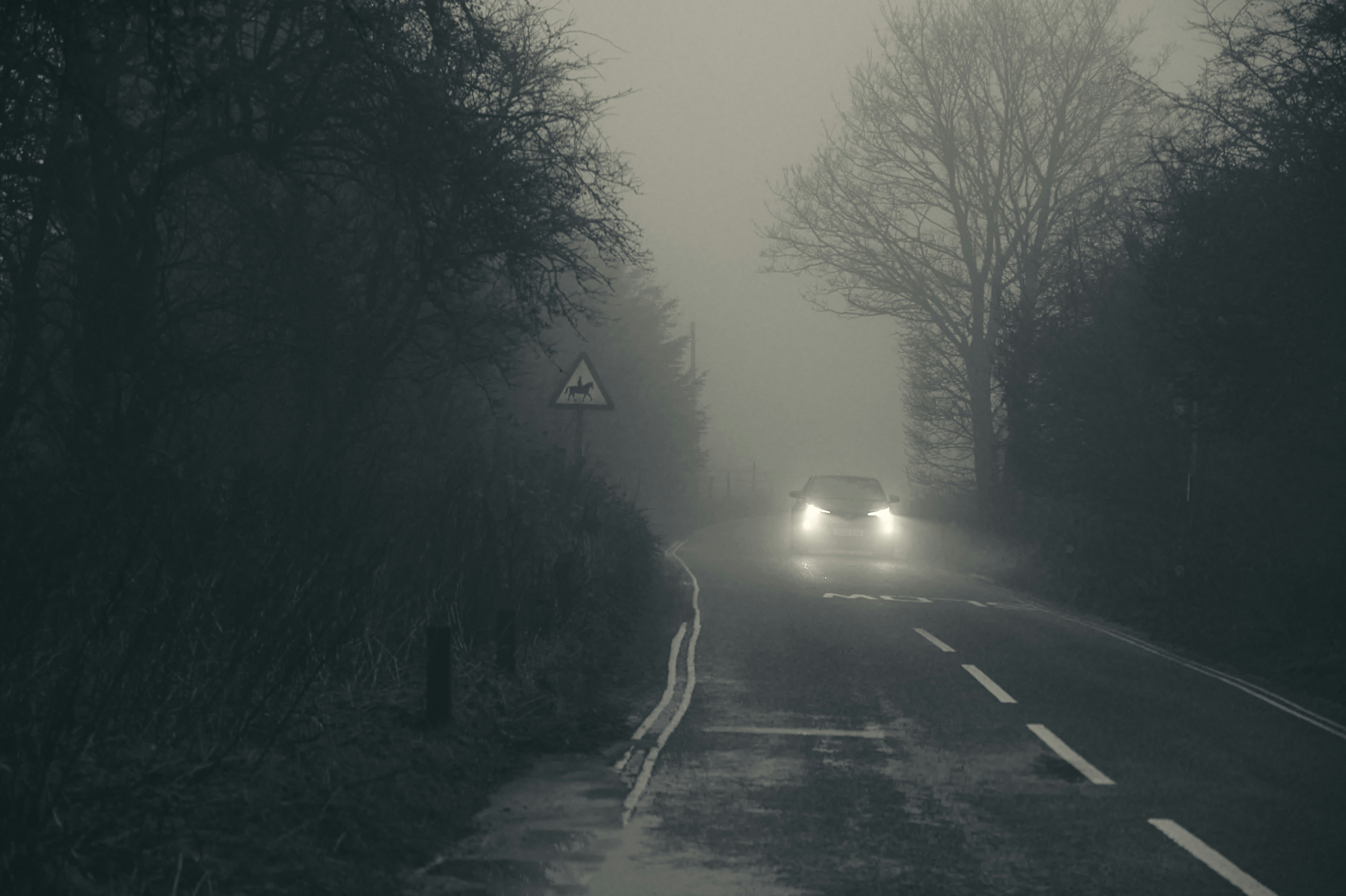 Headlights Through the Mist on a Quiet Country Road