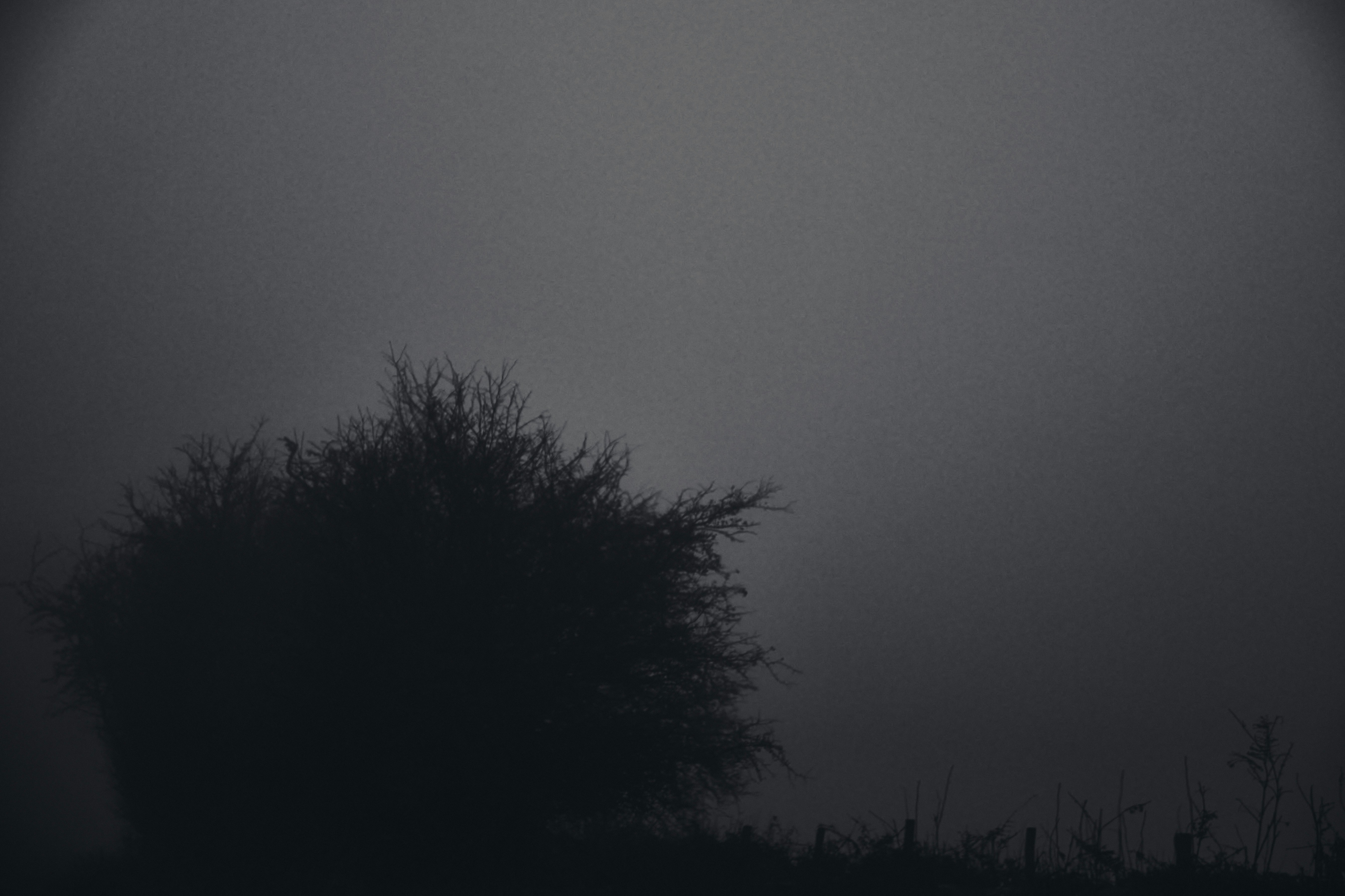 Silhouette at Dusk: A Quiet Horizon