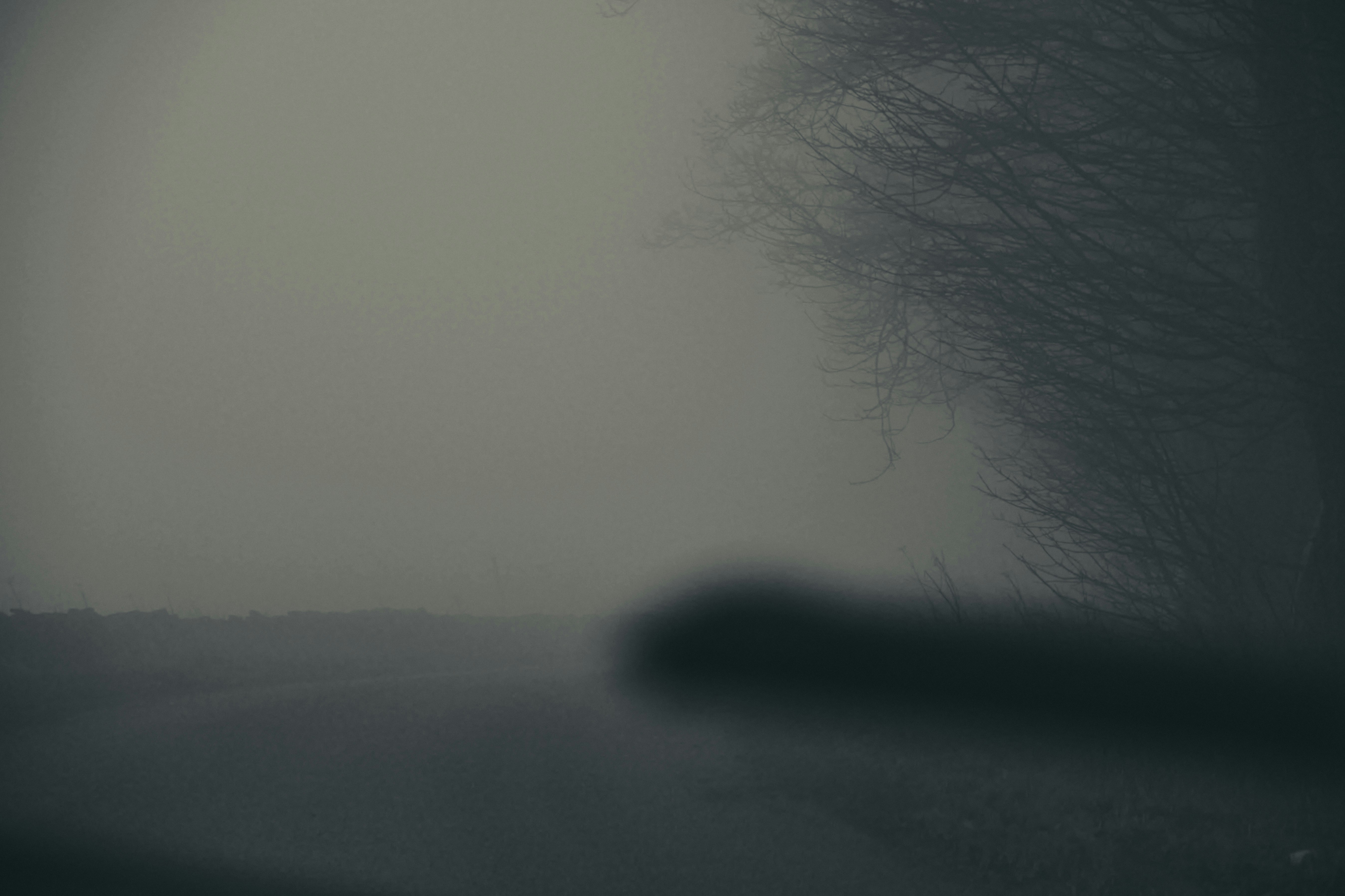 Mist on the Distant Road: A Haunted Edge of Silence