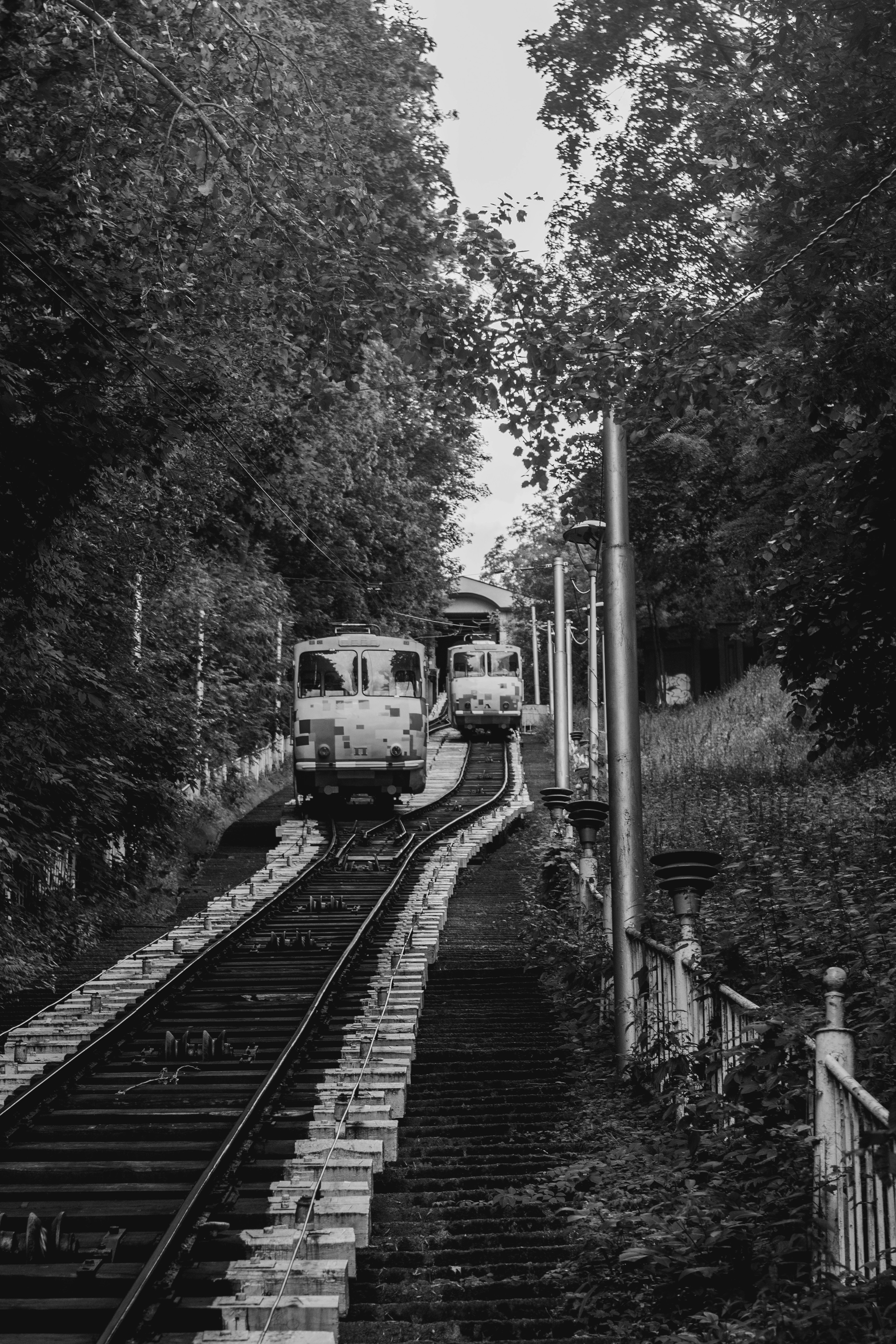 Toward the Summit: A Quiet Climb of Rails Through Draped Trees
