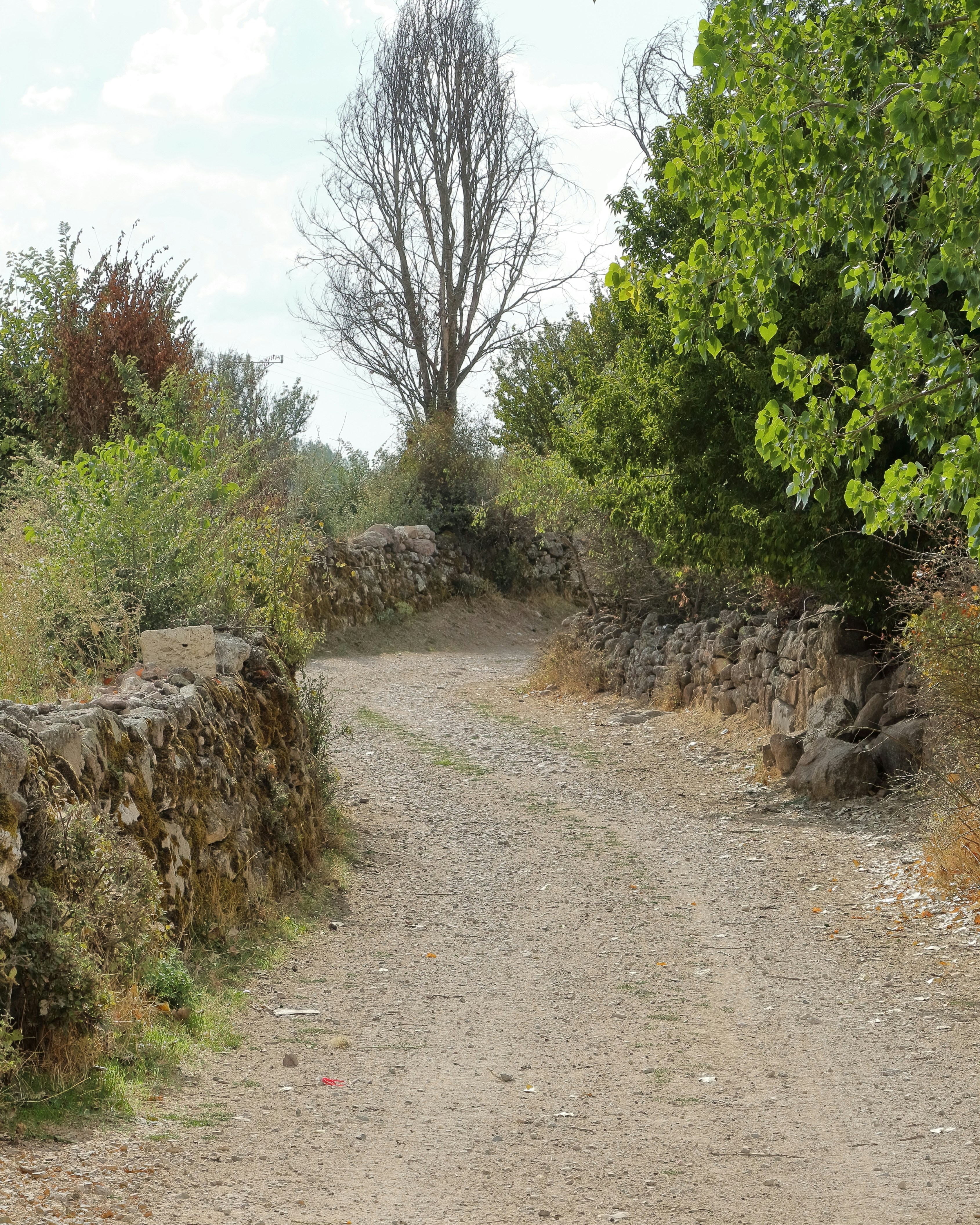 A Hushed Path Between Stone Walls