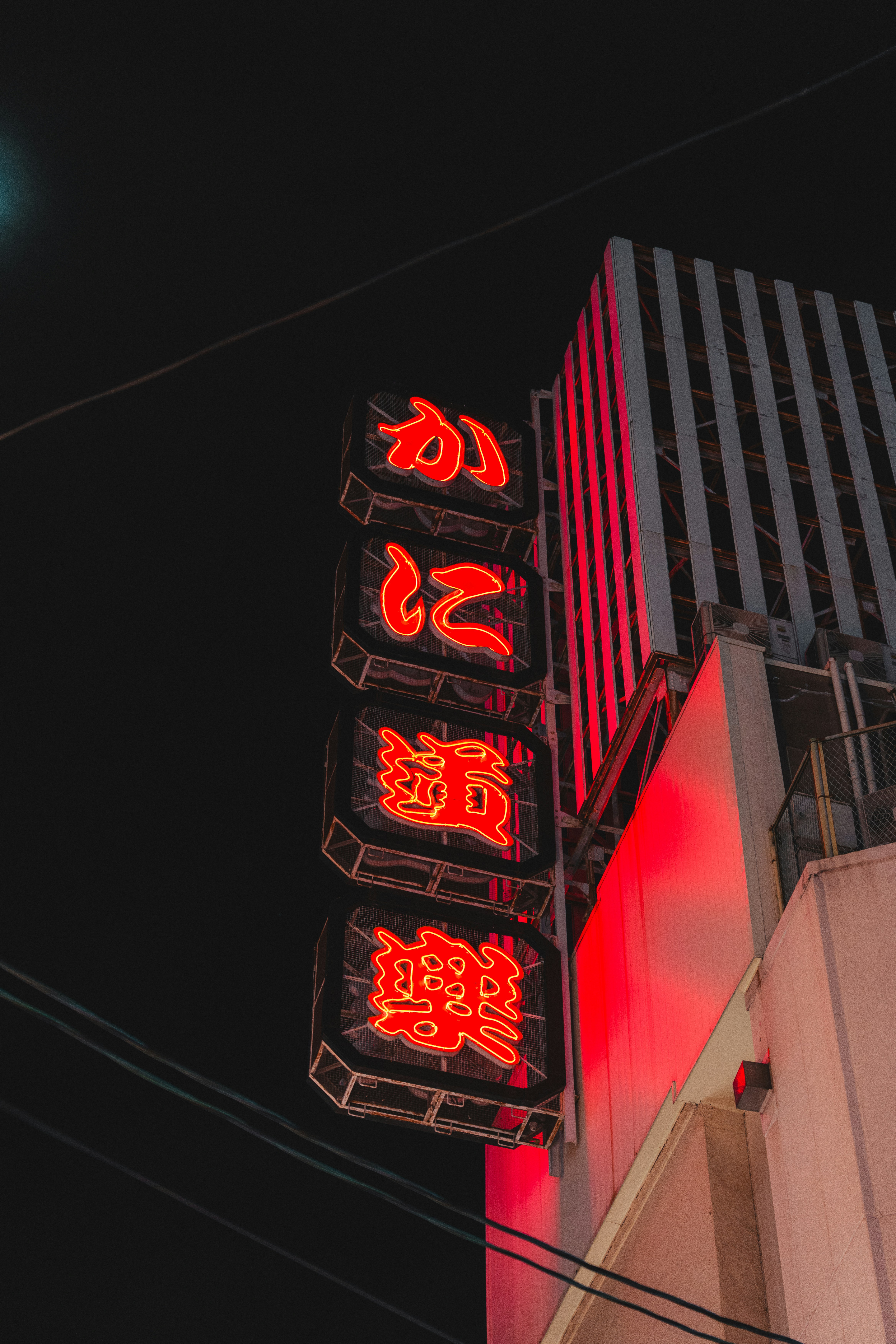 Neon Signature: Vertical Japanese Sign Reaching into Night Sky