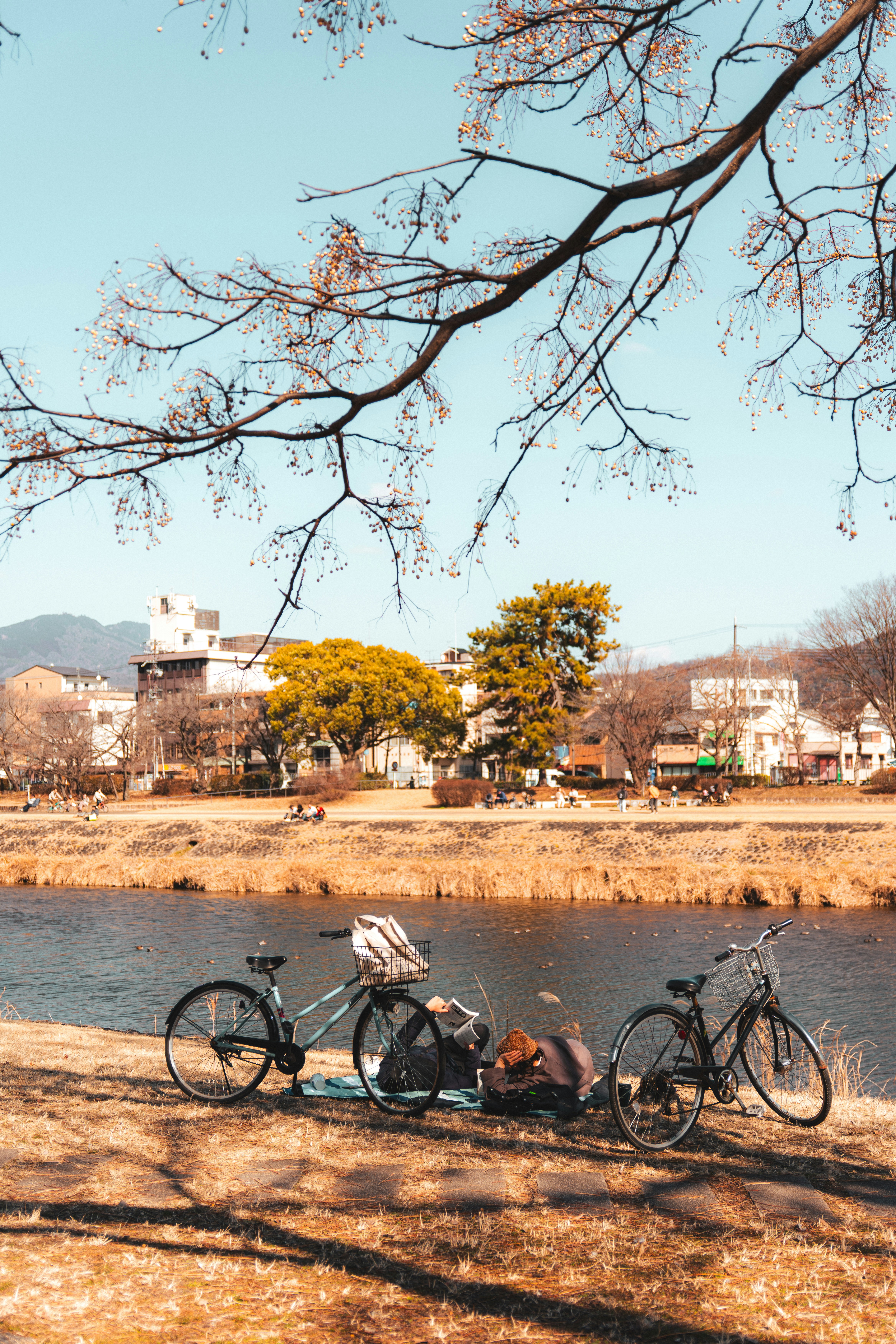 Bicycles by the Riverbank: Quiet Winter Afternoon