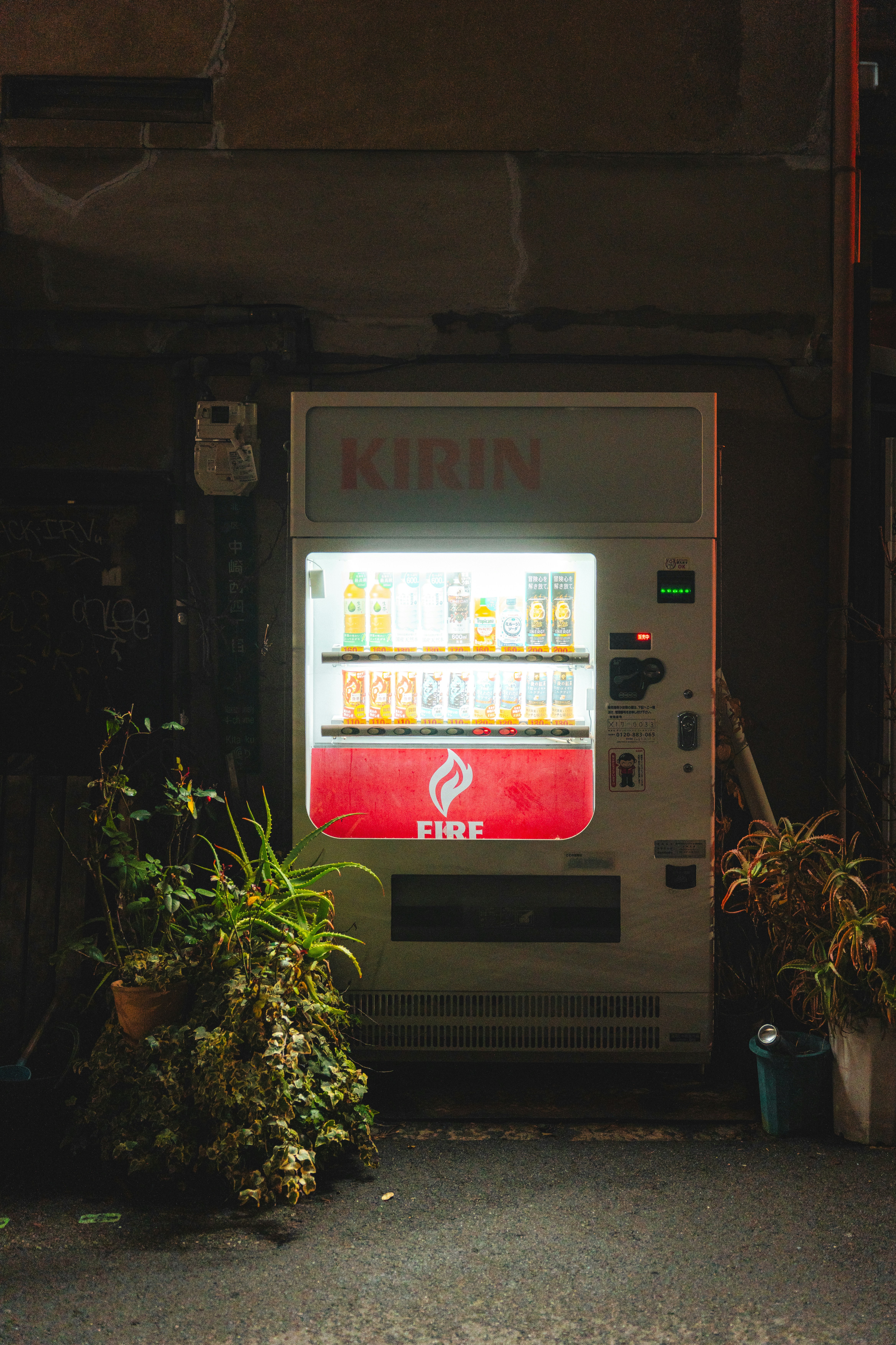 Neon Quiet: a vending machine tucked between plants