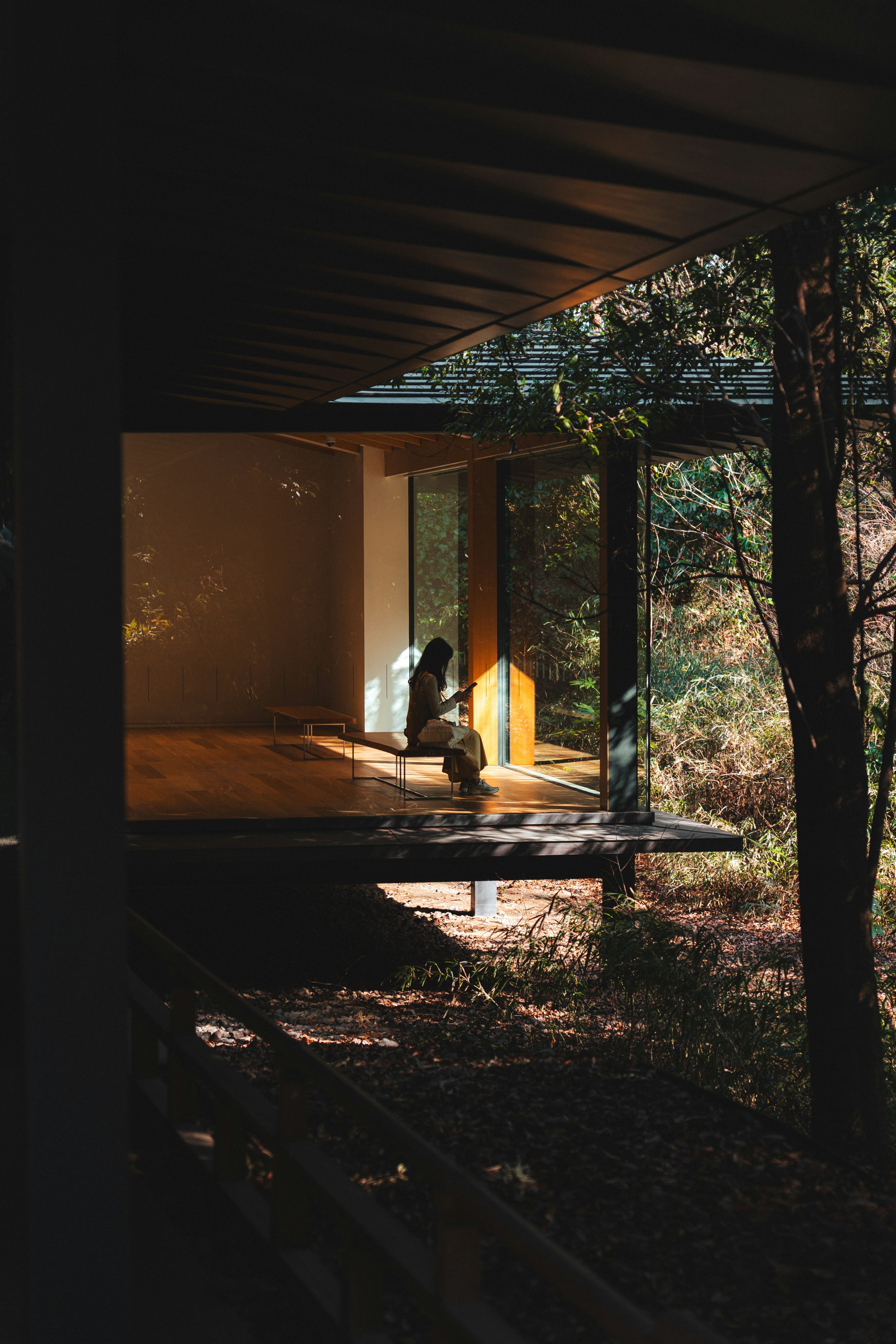 Solitary Tea in the Glade: A Quiet Moment on the Veranda