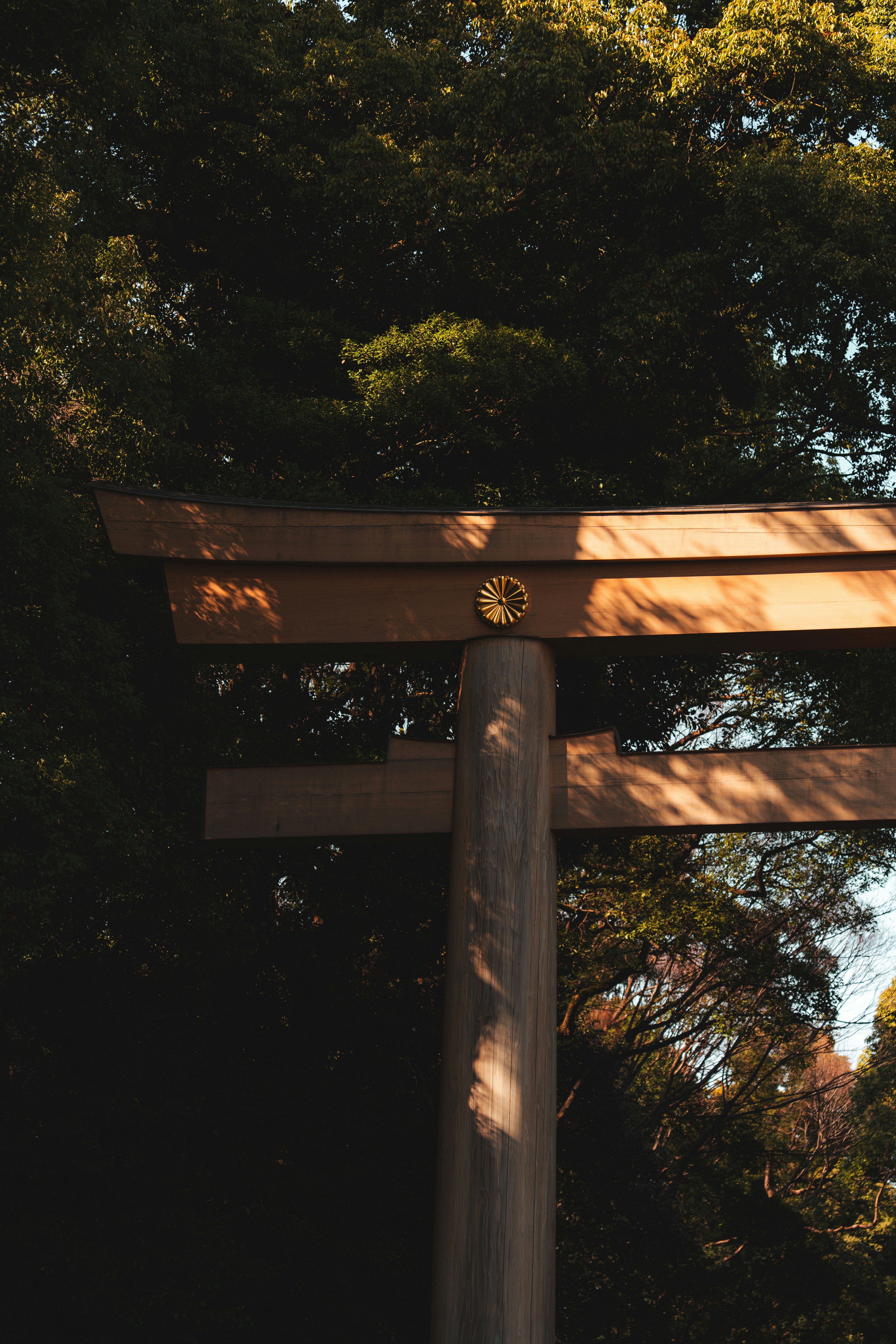 Sunlit Torii: Quiet Shrine Entry Between Shadow and Light
