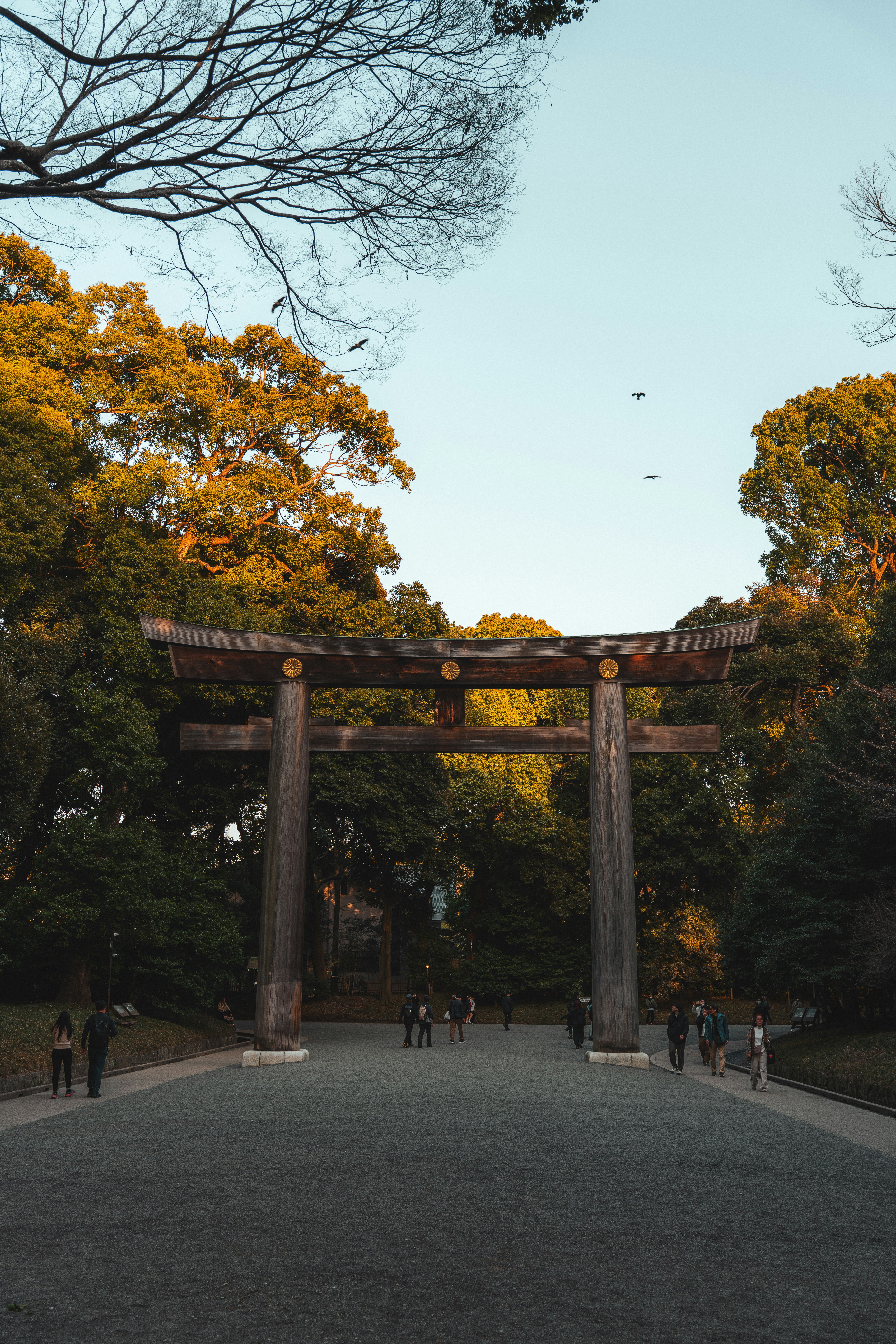 Lamp-arched Gateway Amid Golden Canopy