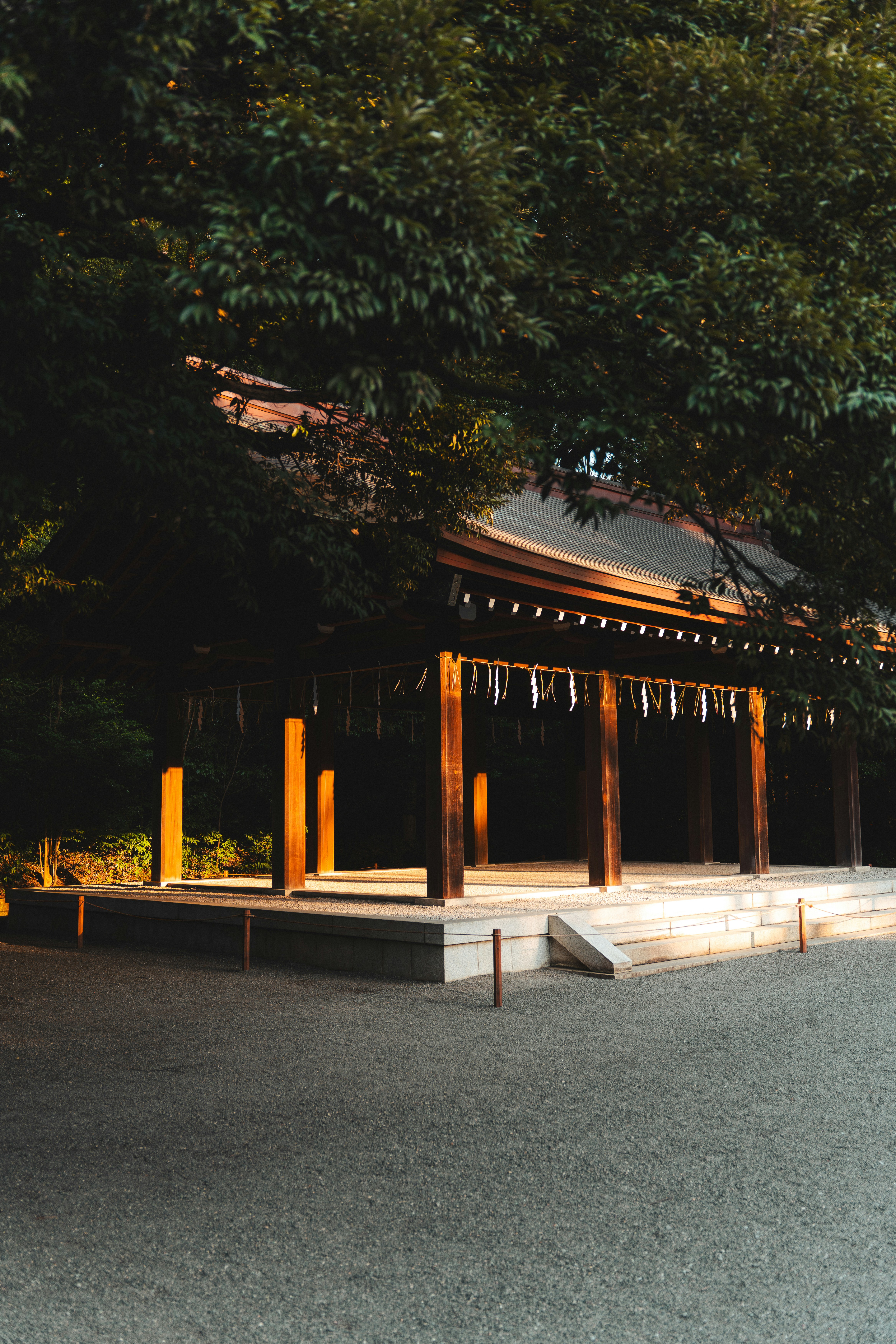 Sunlit Shinto Shrine Hall Amid Evening Shade