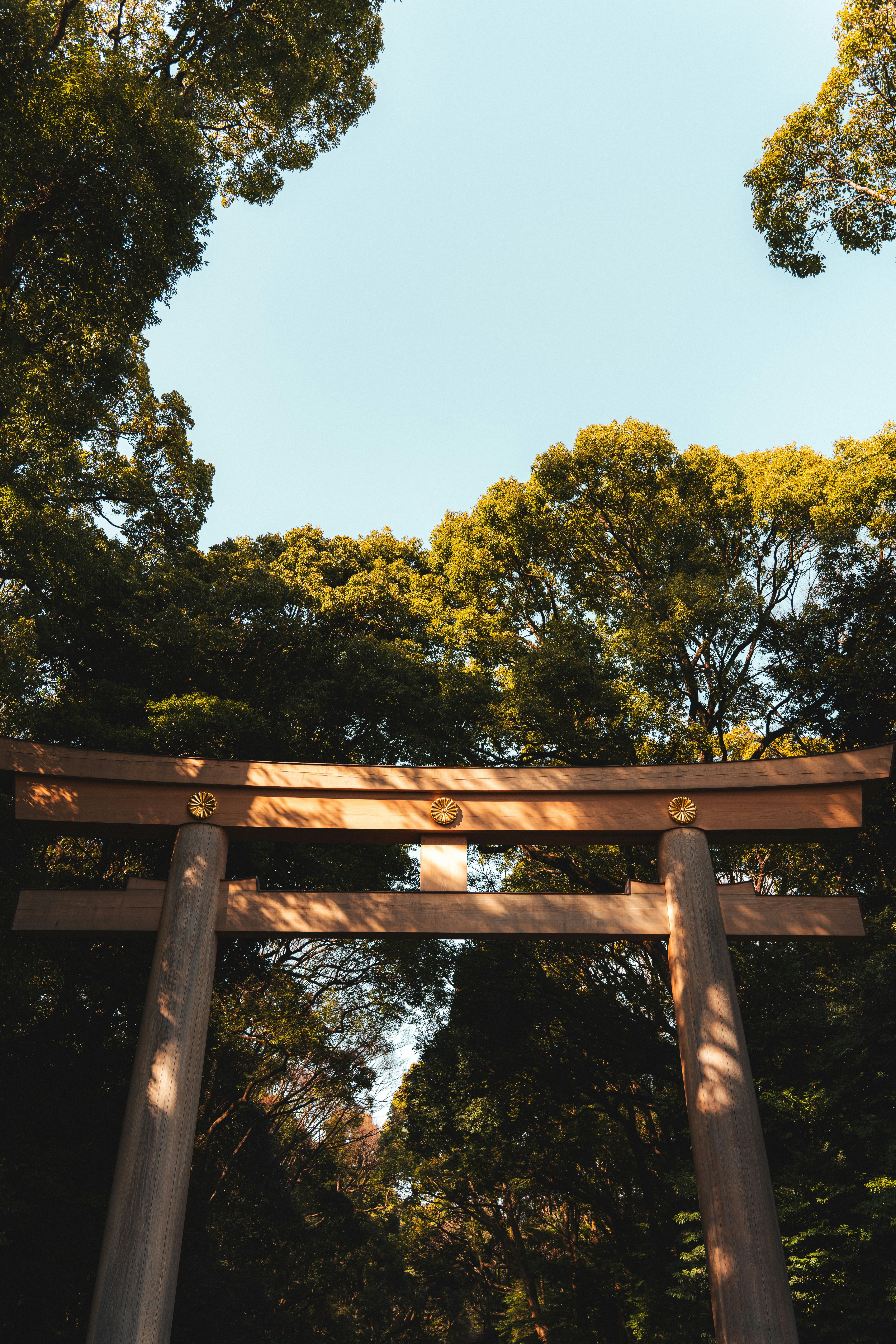 Torii Gate Reaching Toward a Clear Sky