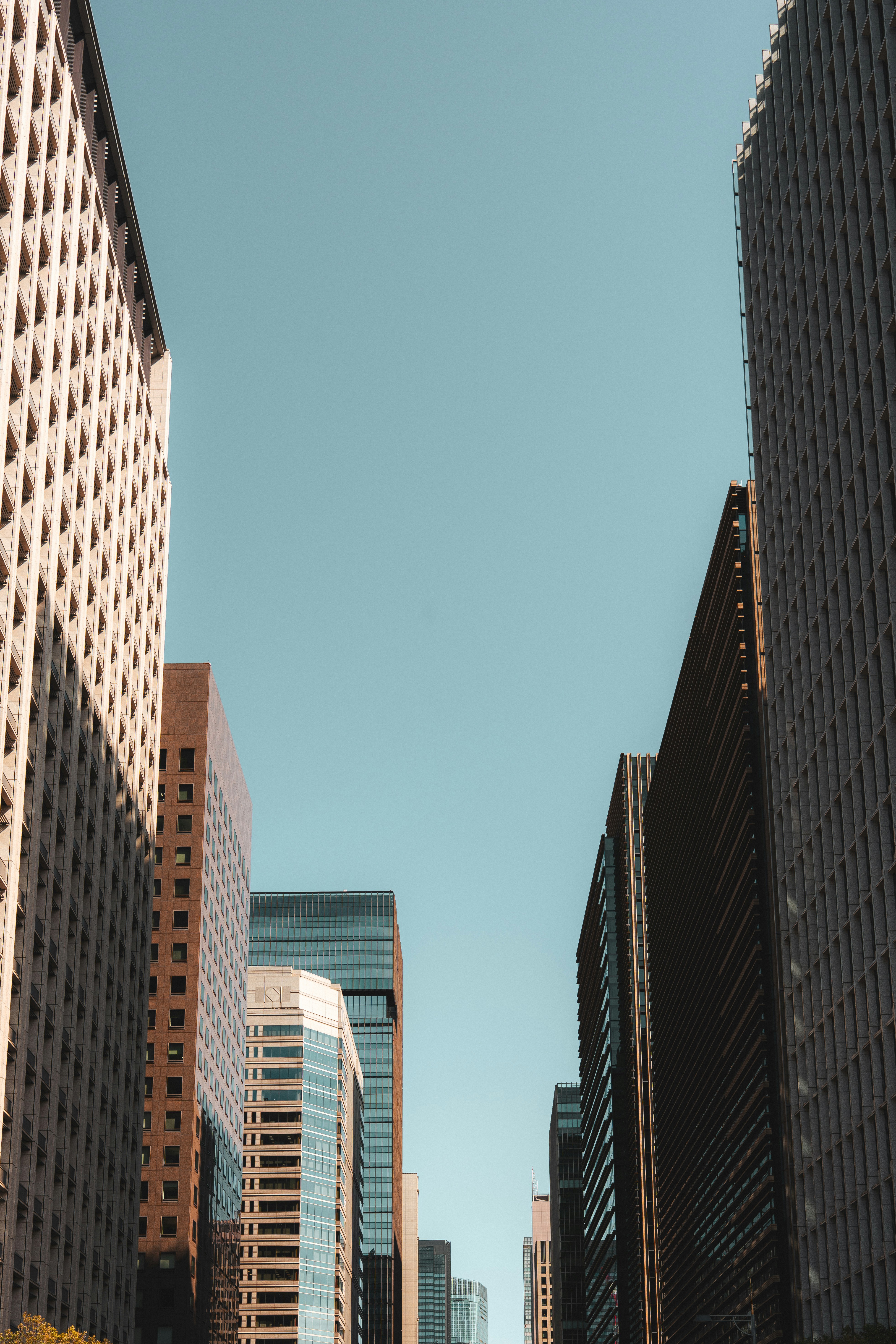Skyward Canyon: A City Between Towers