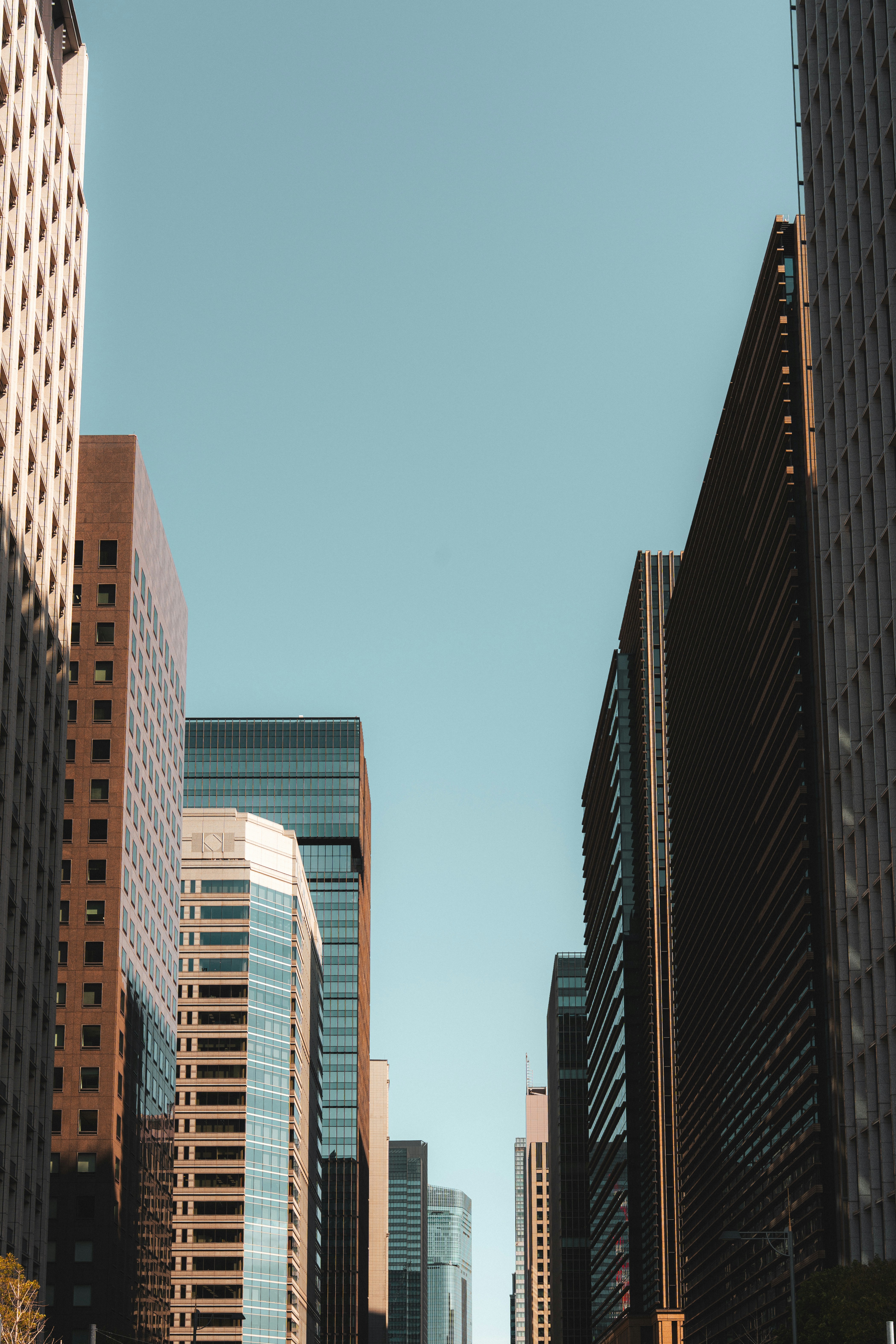 Skyward Avenue: City Towers Reach Toward a Clear Afternoon
