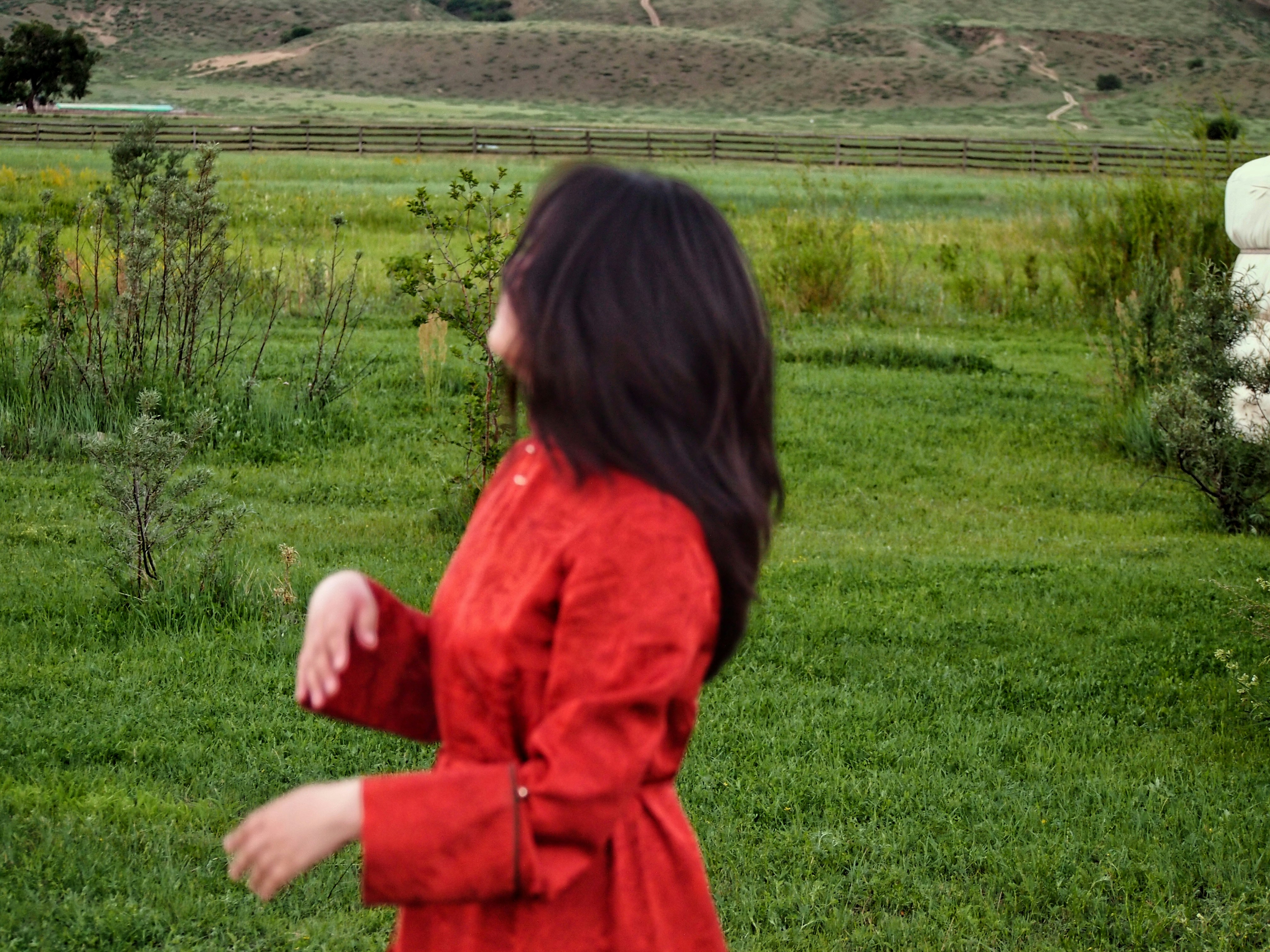 Red Garment in a Quiet Meadow: A Portrait in Motion