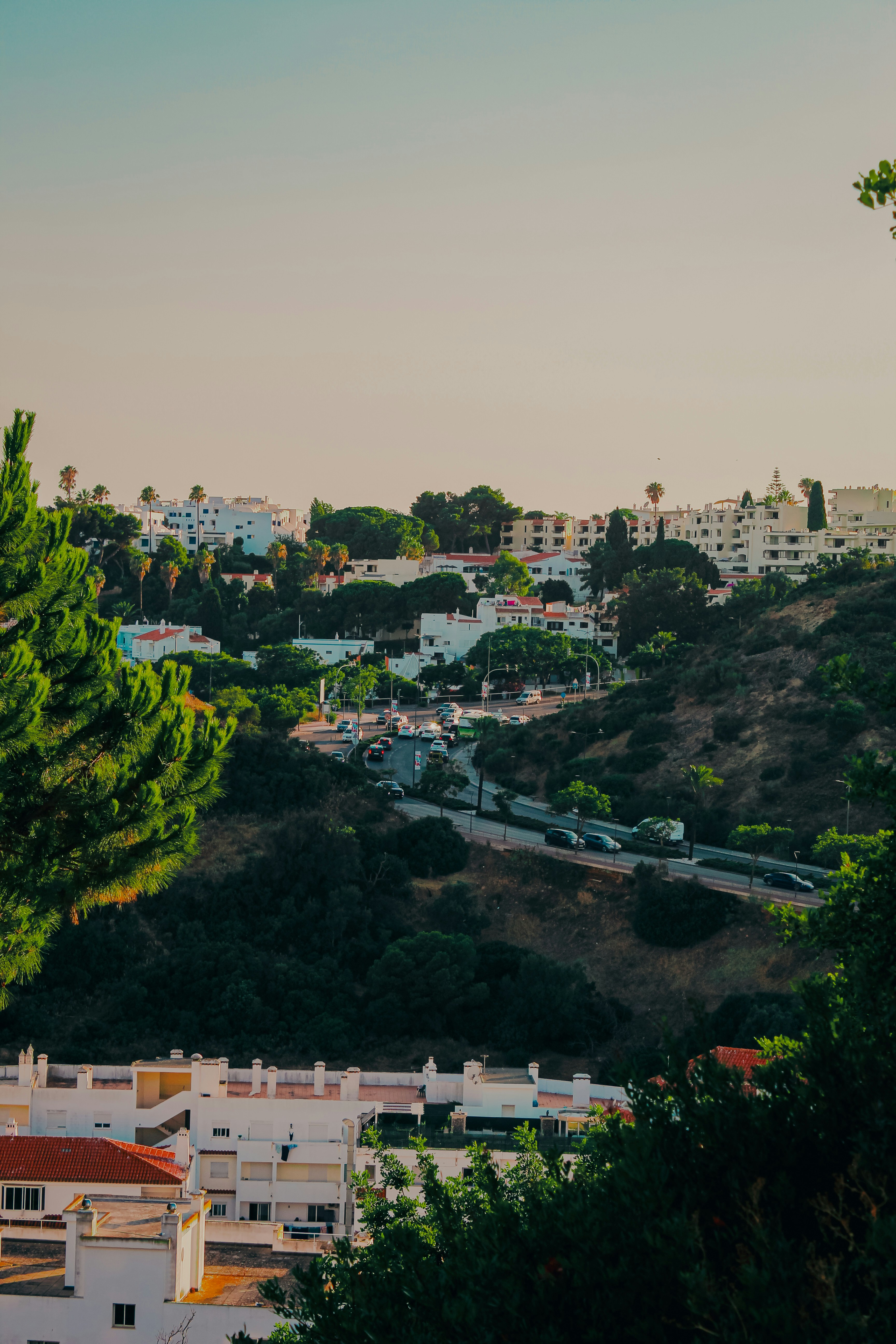 Horizon of hillside white homes overlooking a winding coastal road