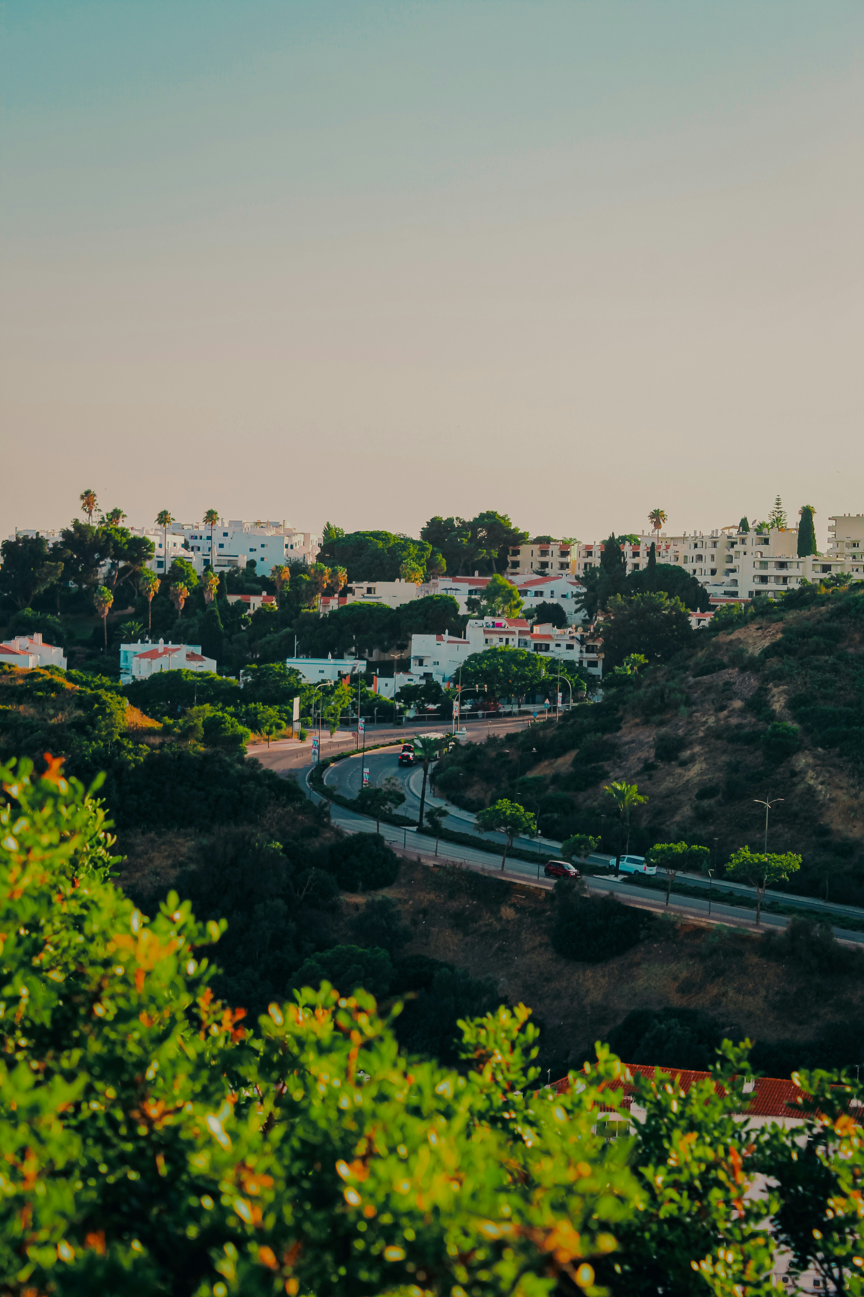 Sunlit hillside suburb winding along a coastal road