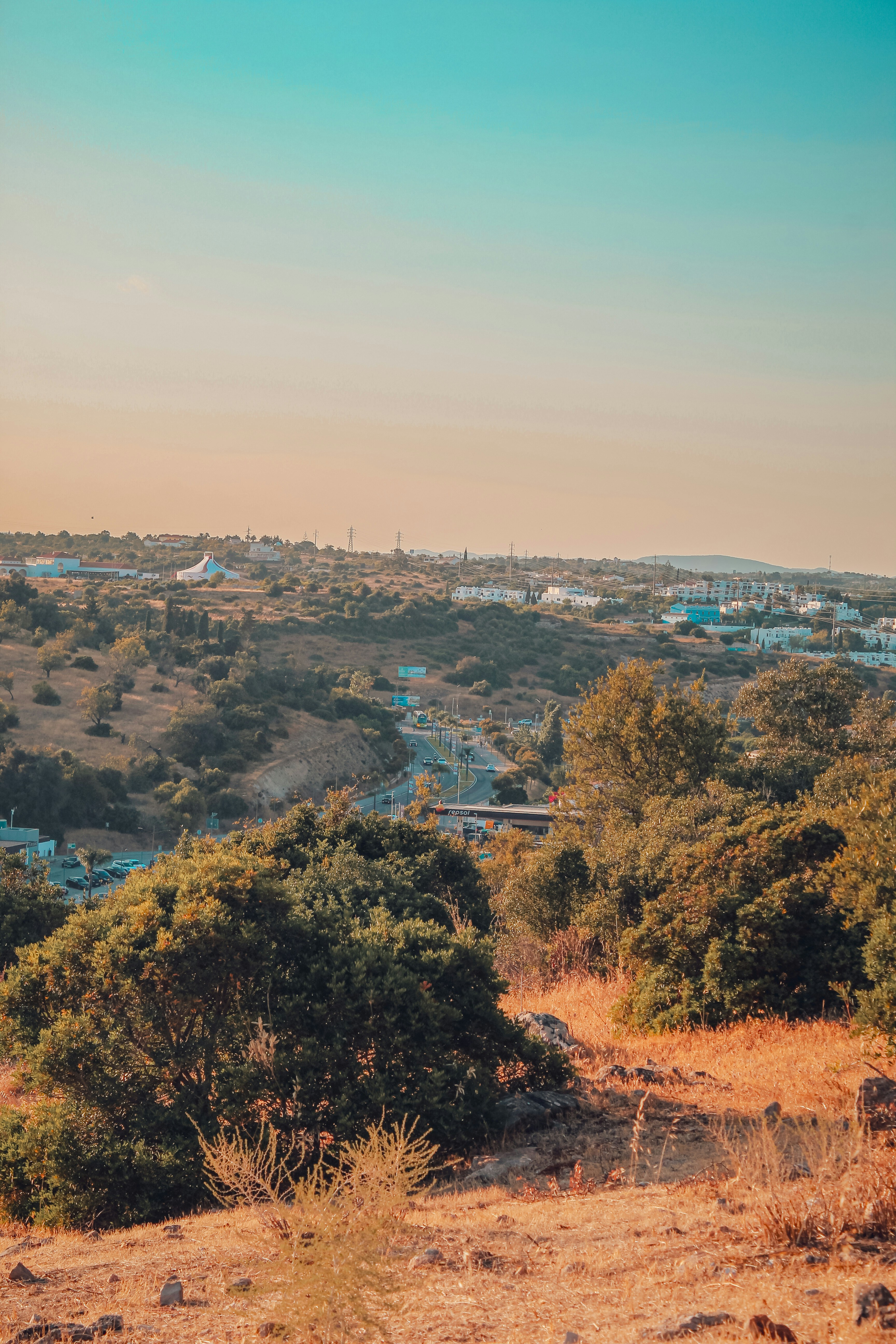 Hillside foreground with golden grasses leading to a distant town under a soft, pastel sky; the scene conveys a tranquil, late-afternoon panorama with scattered trees and winding roads.