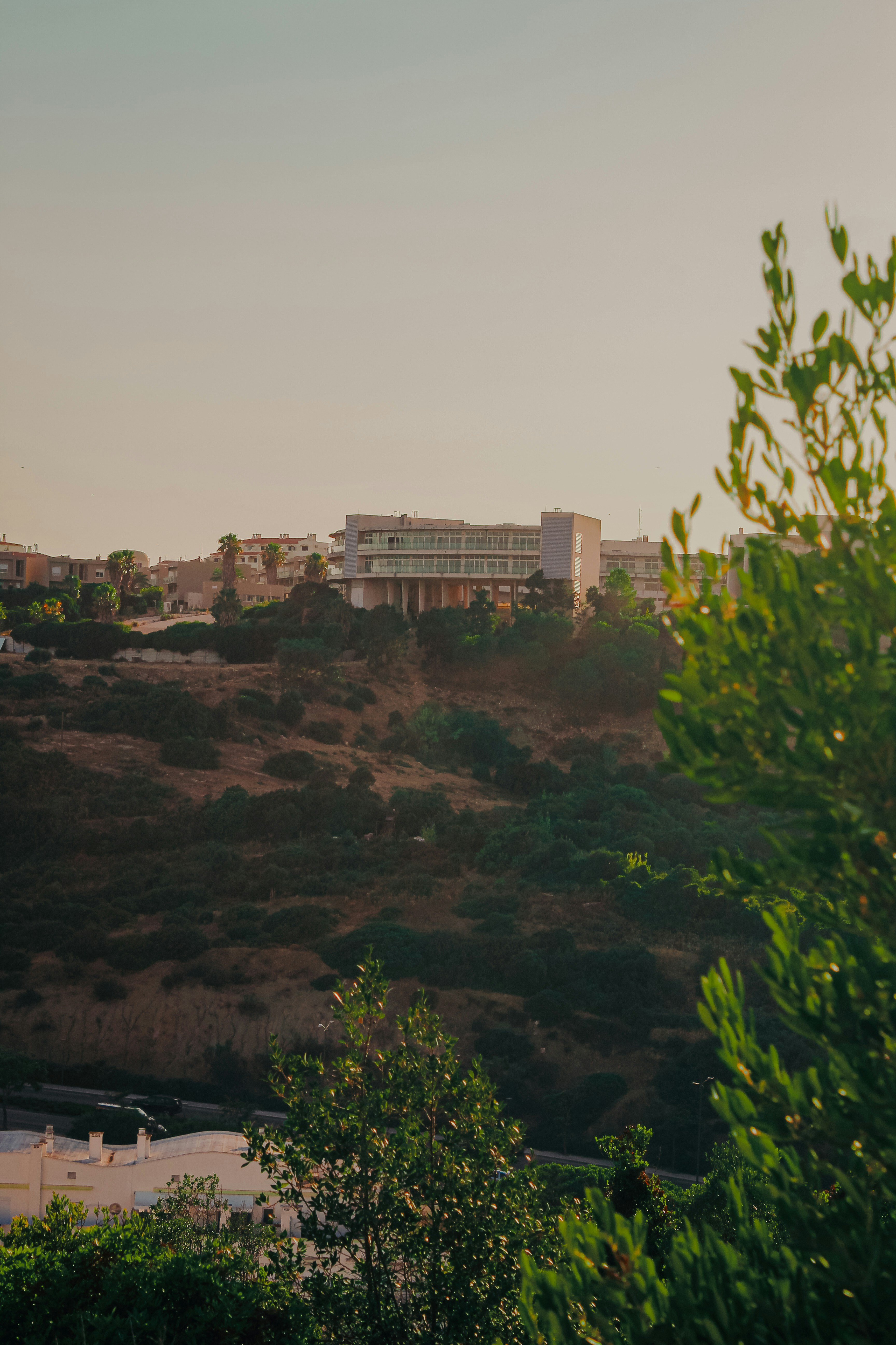 Distant modern buildings sit along a sunlit hillside with greenery in the foreground and a soft, warm sky above.