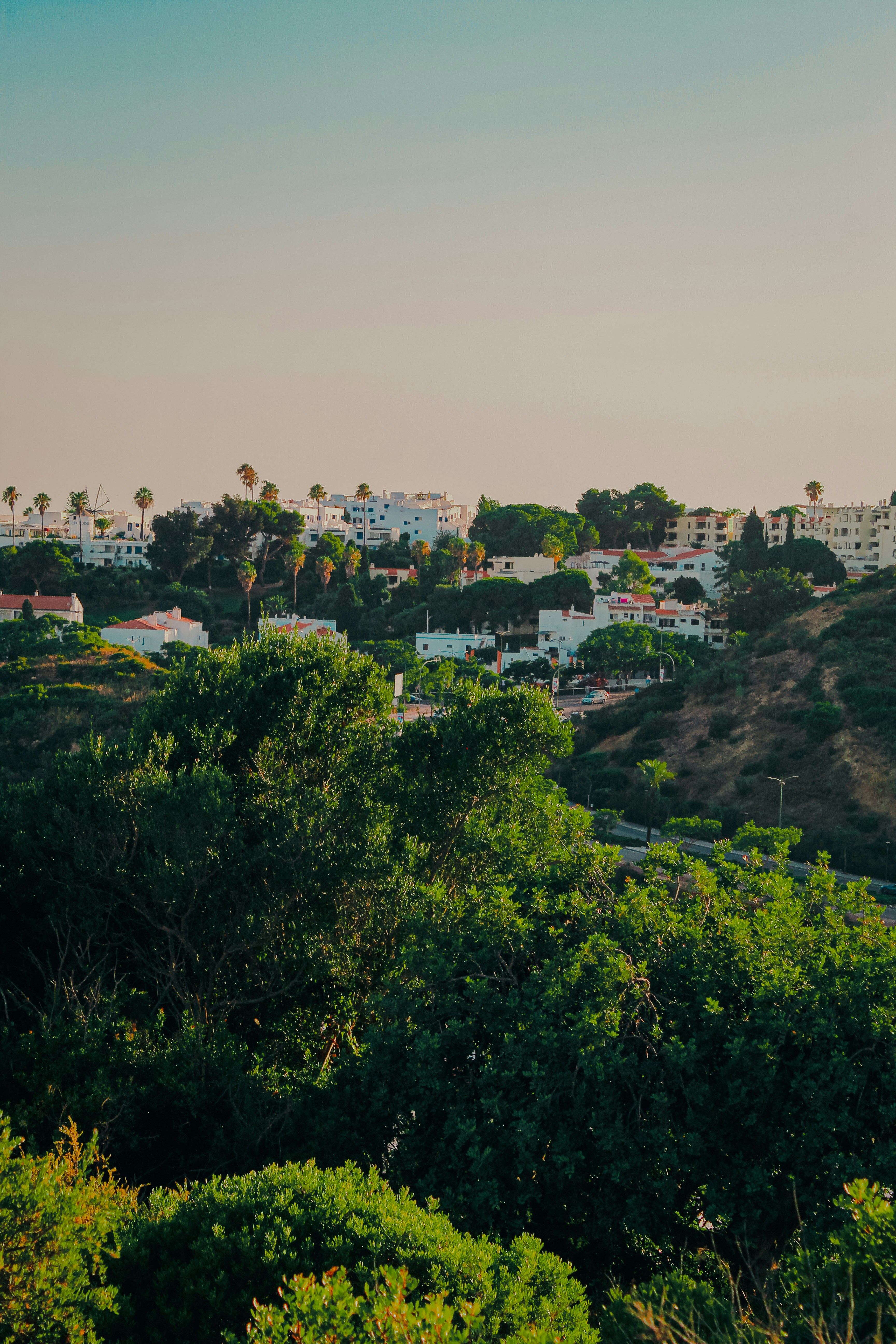 Sunlit hillside suburb with white buildings above lush green trees and a winding road; distant cityscape under soft sky.