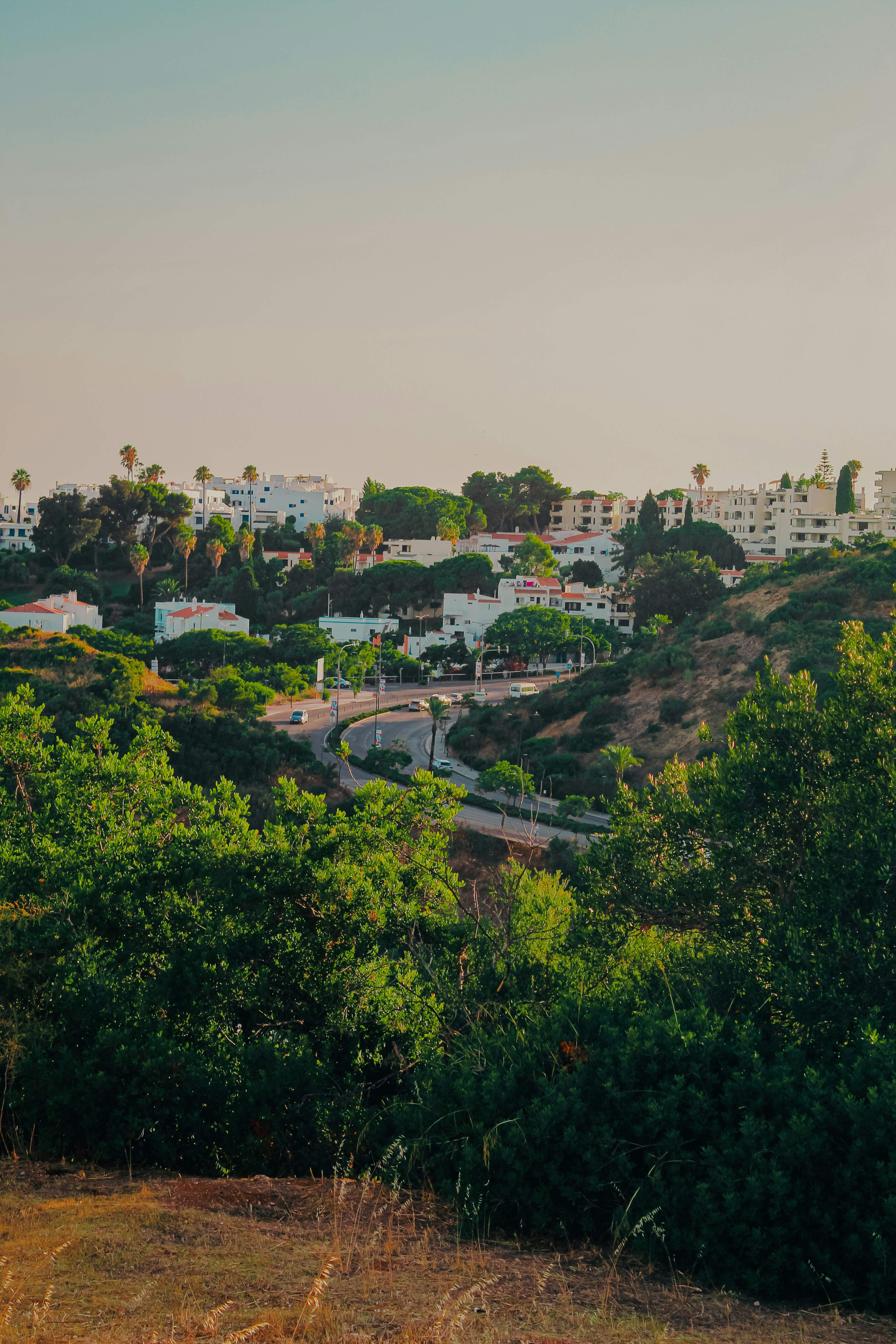 Hilltop Village Between Greenery and Sunset Sky