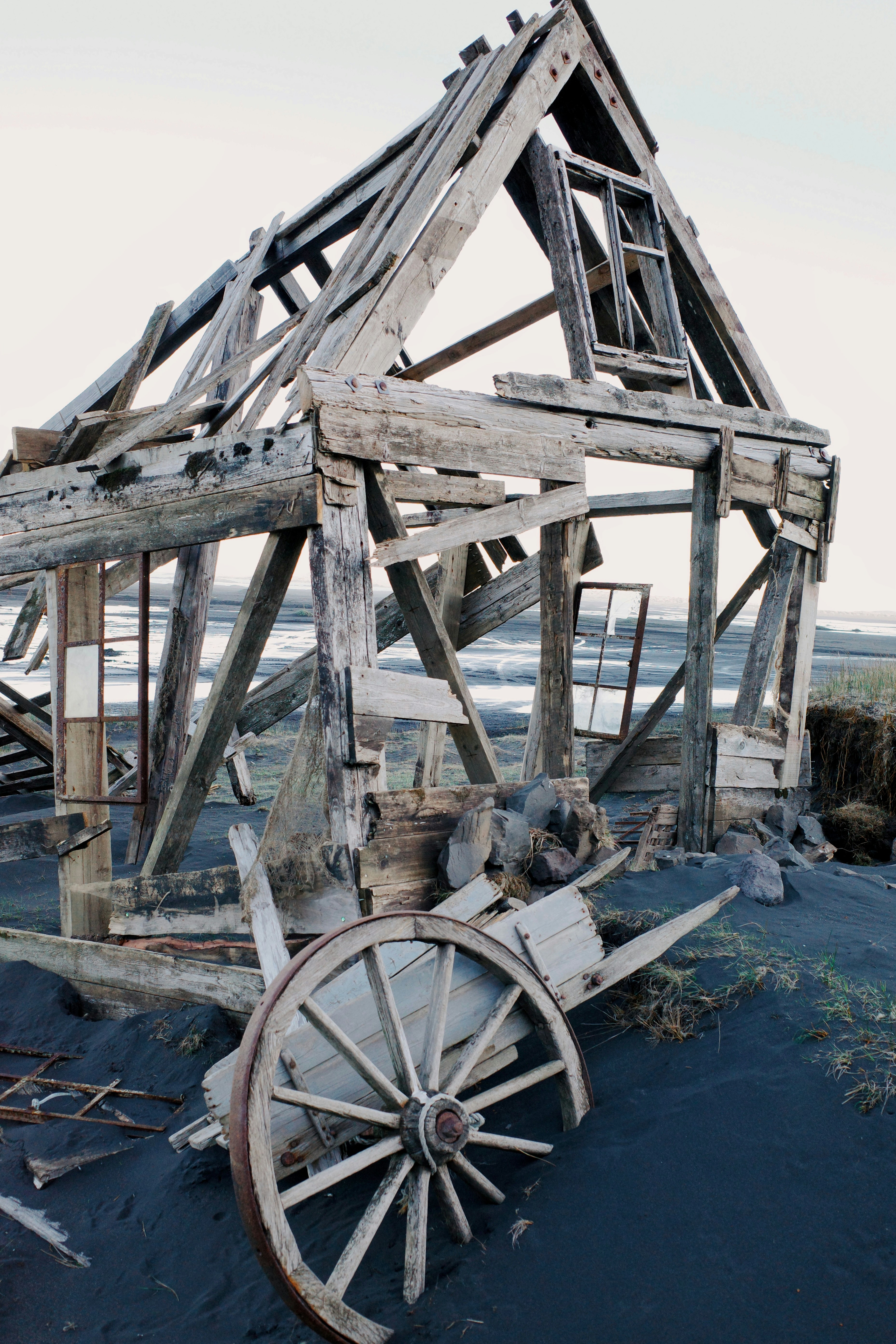 Weathered Skeleton: A Driftwood Housekeeper on the Shifting Shore