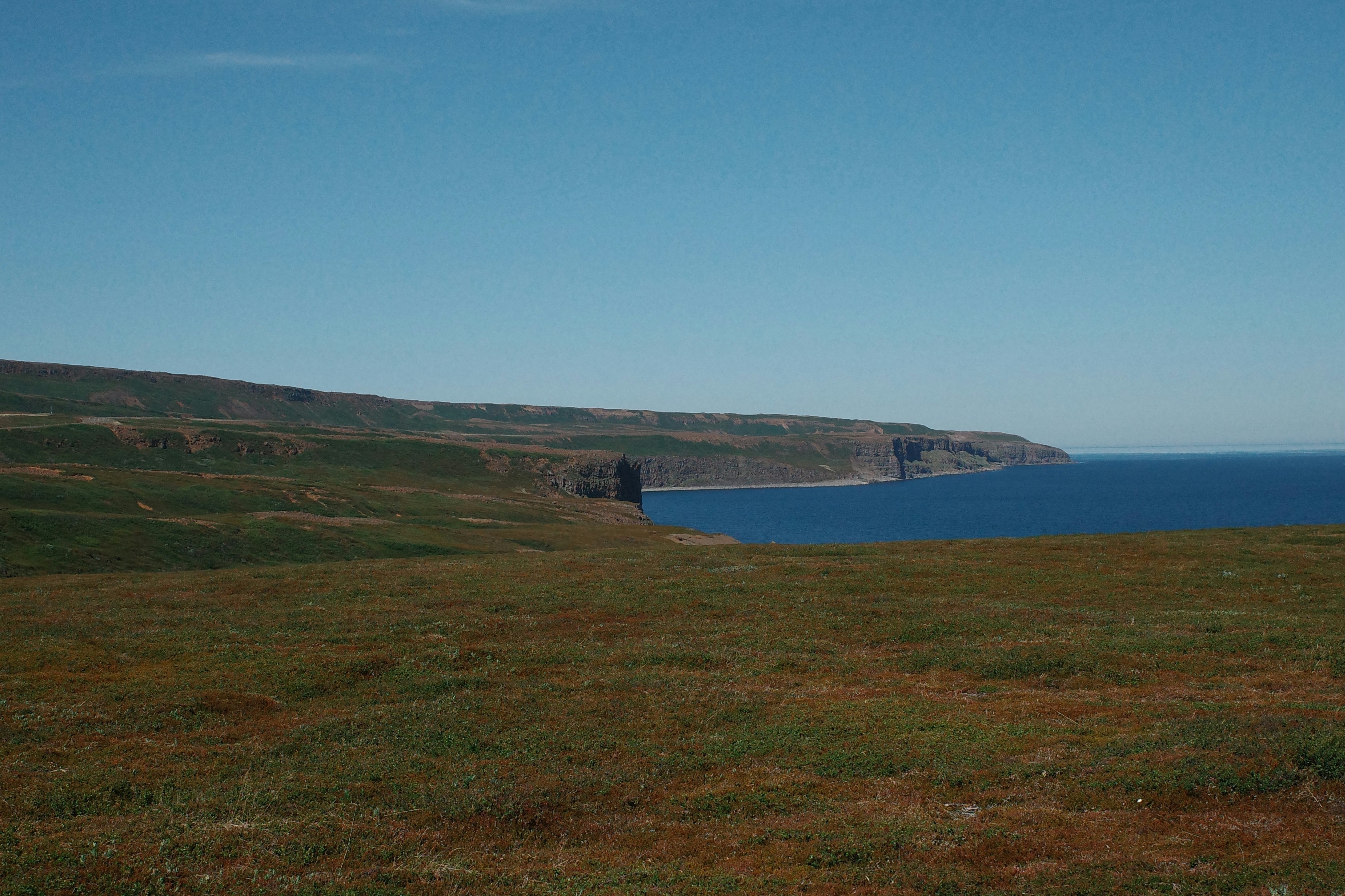 Coastal Plate: A Quiet Cliffside Vista Beneath a Wide Sky