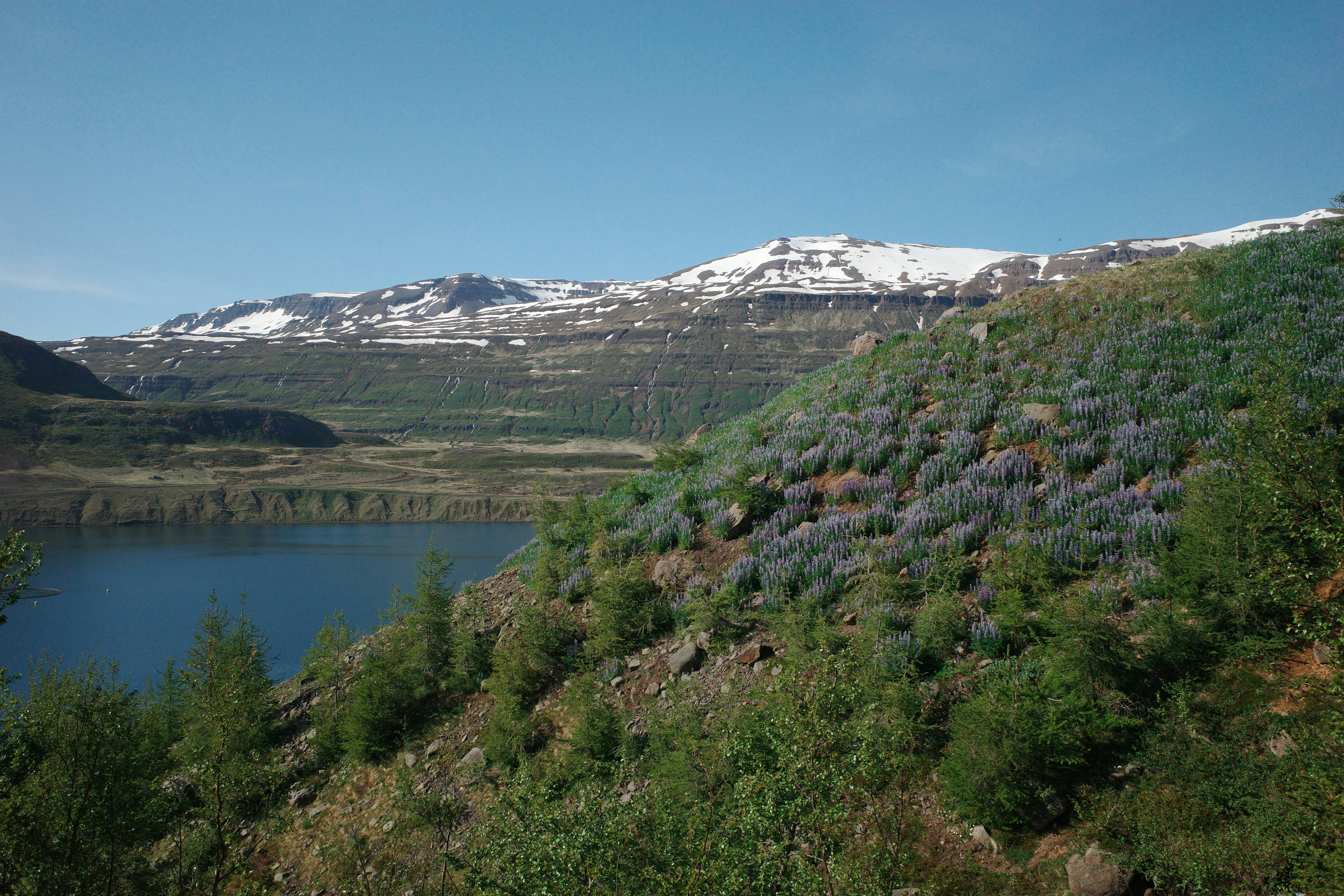 Snow-capped ridges over lush green hillside and blue lake