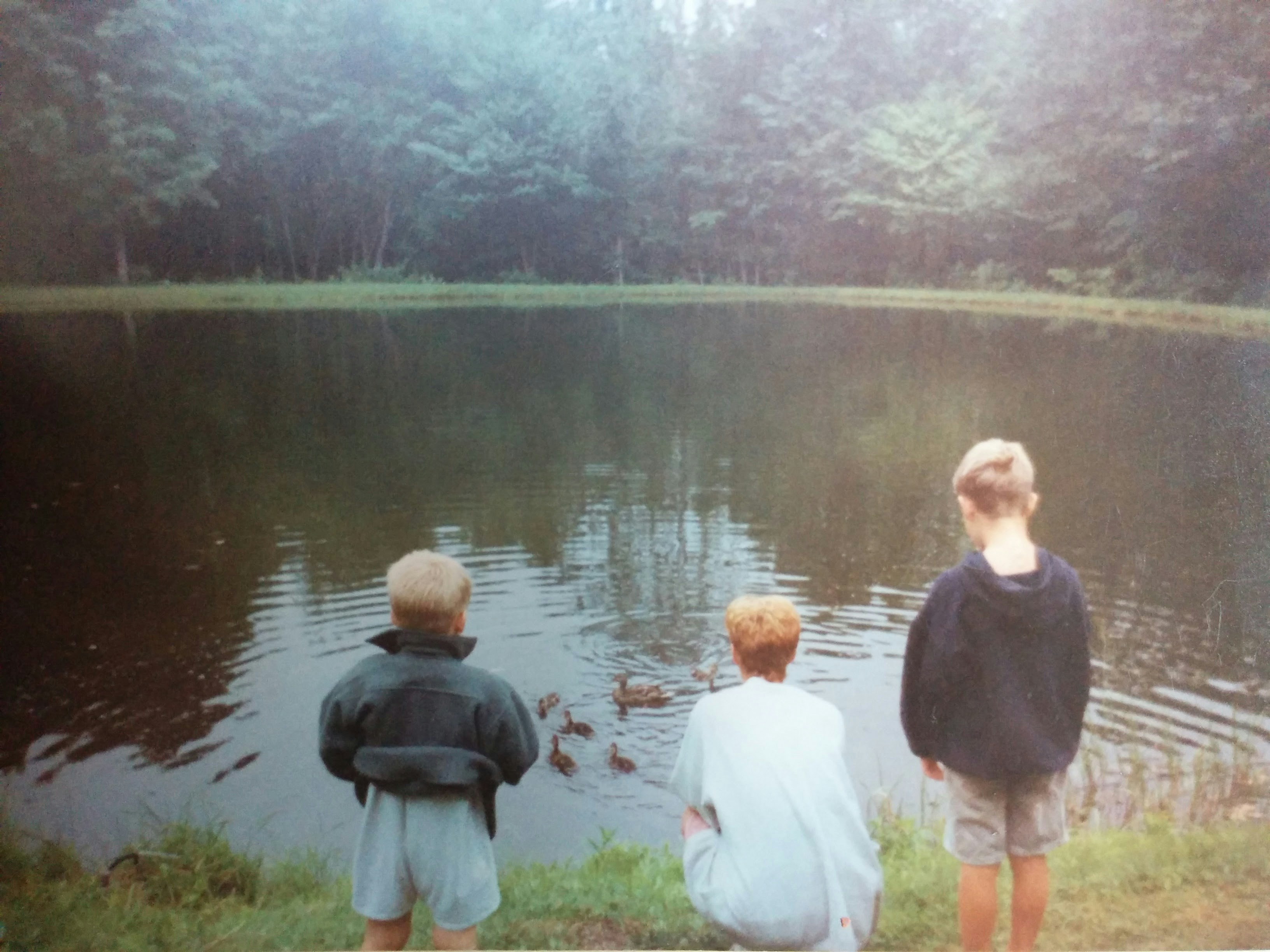 Three children kneel and stand by a calm lakeside as ducks glide nearby, with a forested backdrop and soft light.