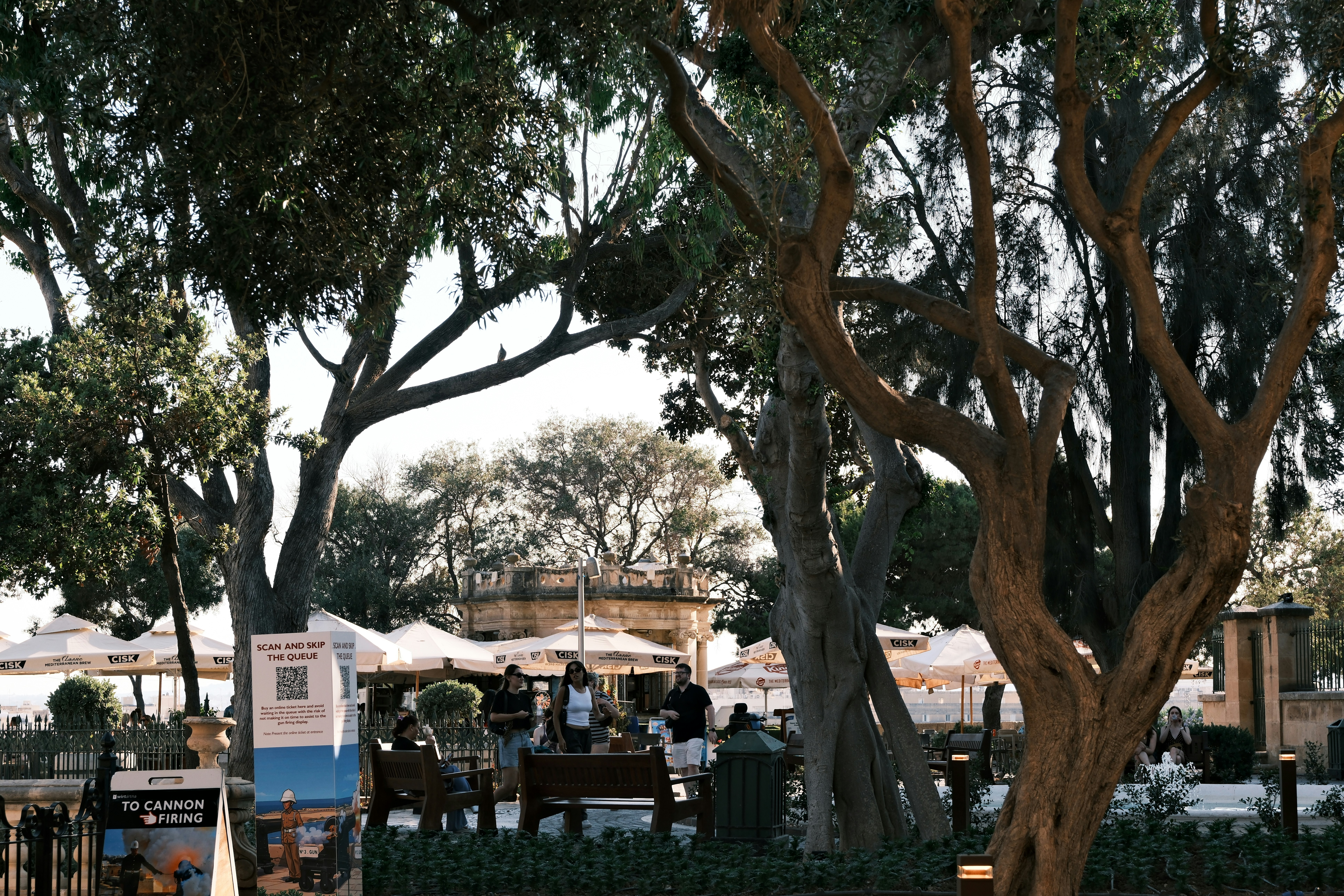 Shaded Courtyard Buzz: Visitors, Benches, and Tree-arched Light