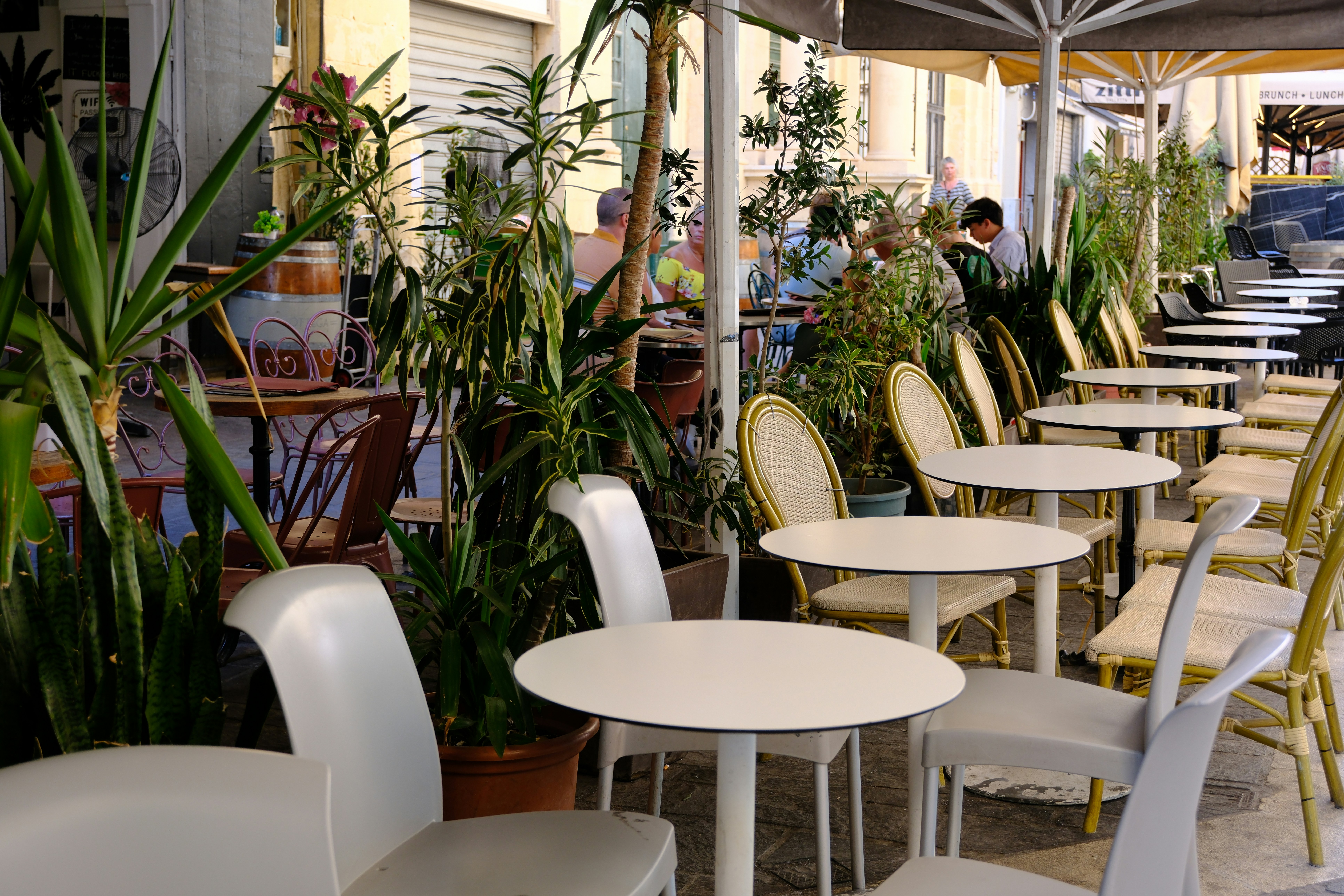 A Quiet Arcade of Tables and Foliage