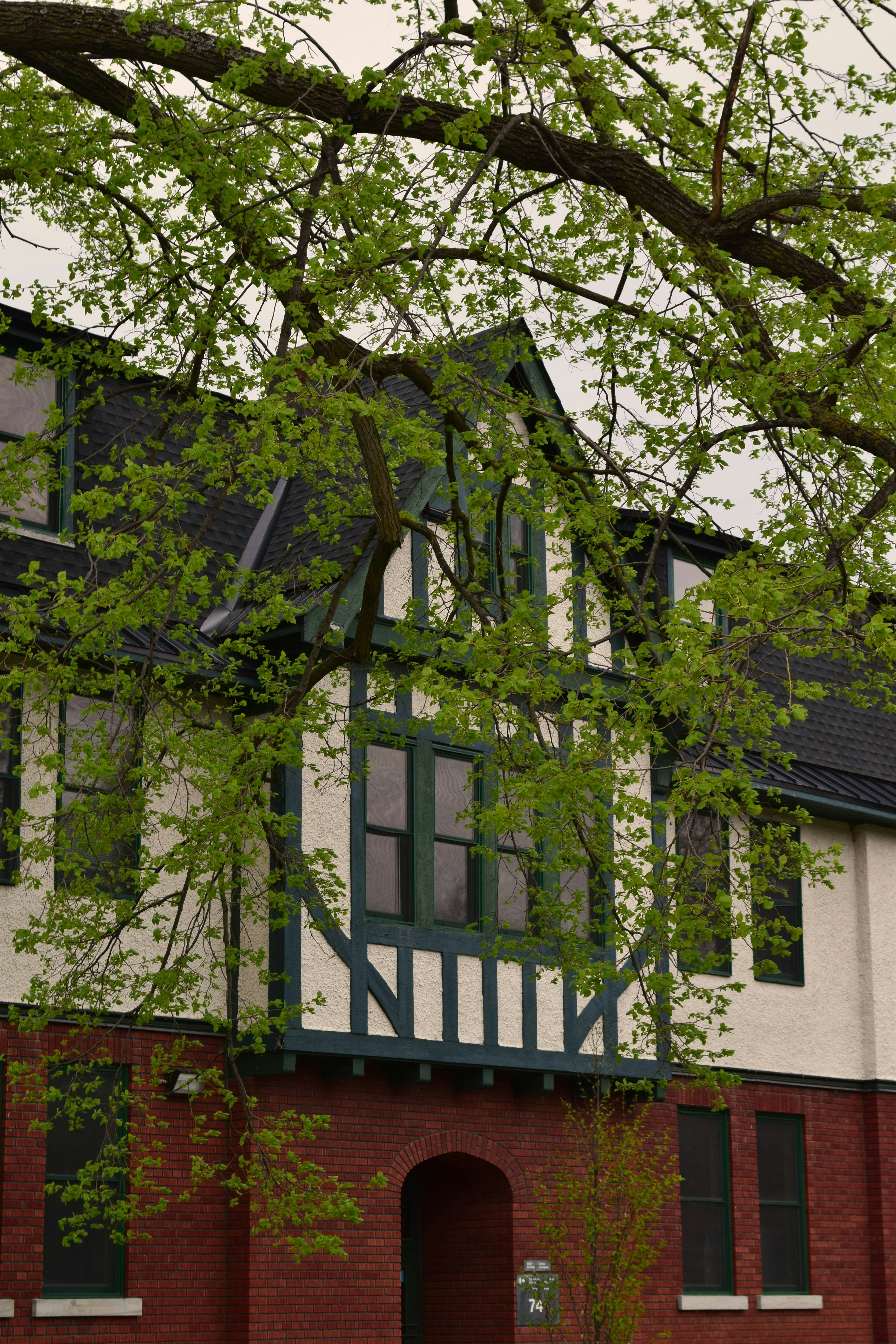 Brick-and-tiber facade with exposed timber framing peeks through fresh spring foliage; architectural detail under a leafy foreground.