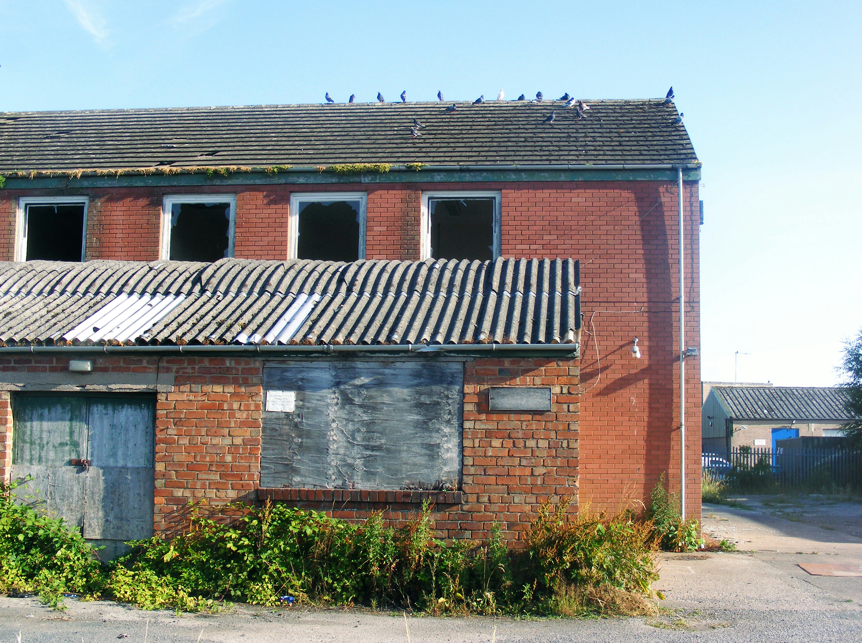Weathered brick warehouse under a blue sky with pigeons along the roofline