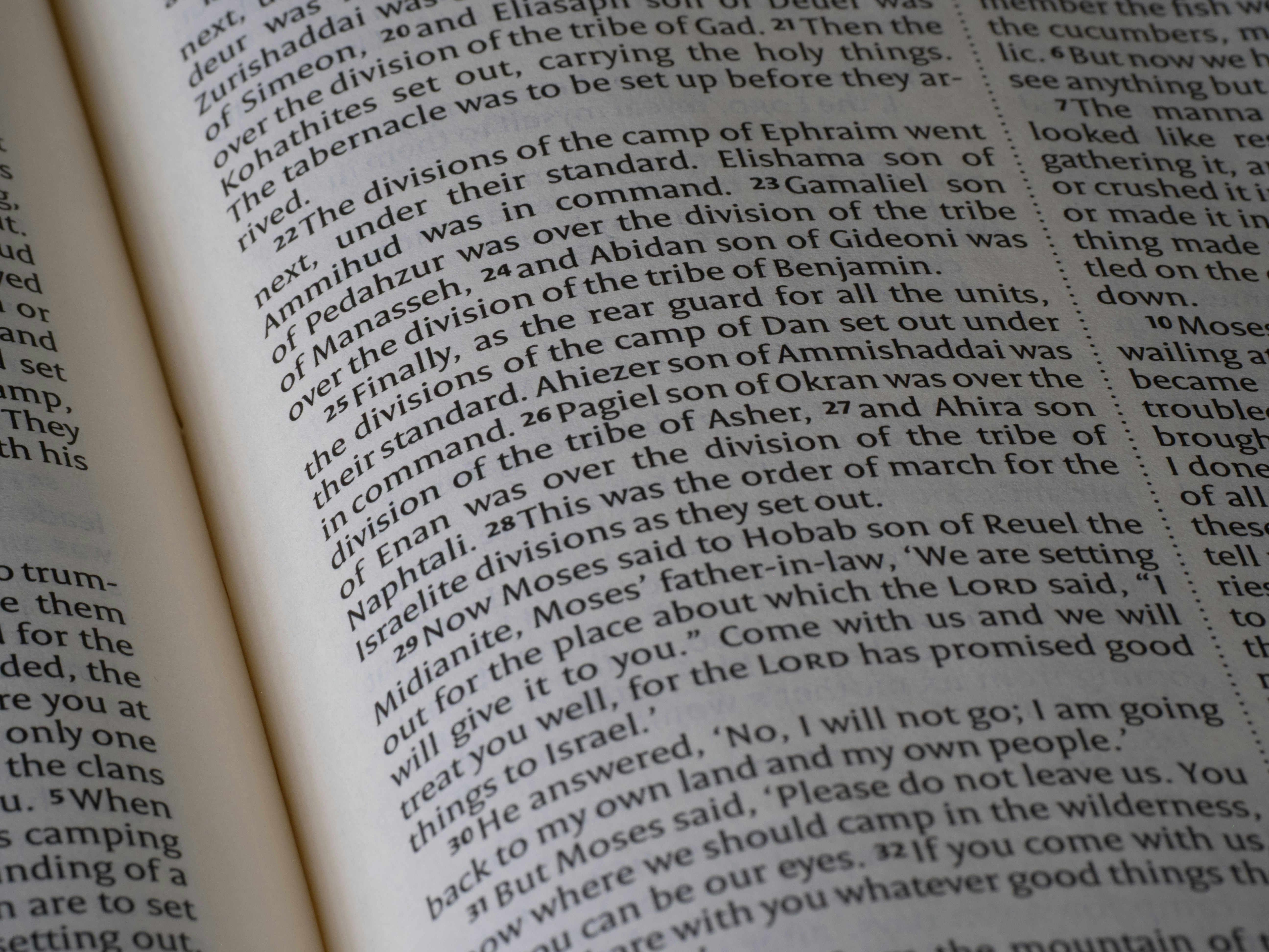Close-up shot of printed text in a book, focusing on the sharp ink and page texture; printed material captured at a shallow perspective, neutral lighting. The image resembles a page from a traditional book rather than a logo or illustration.