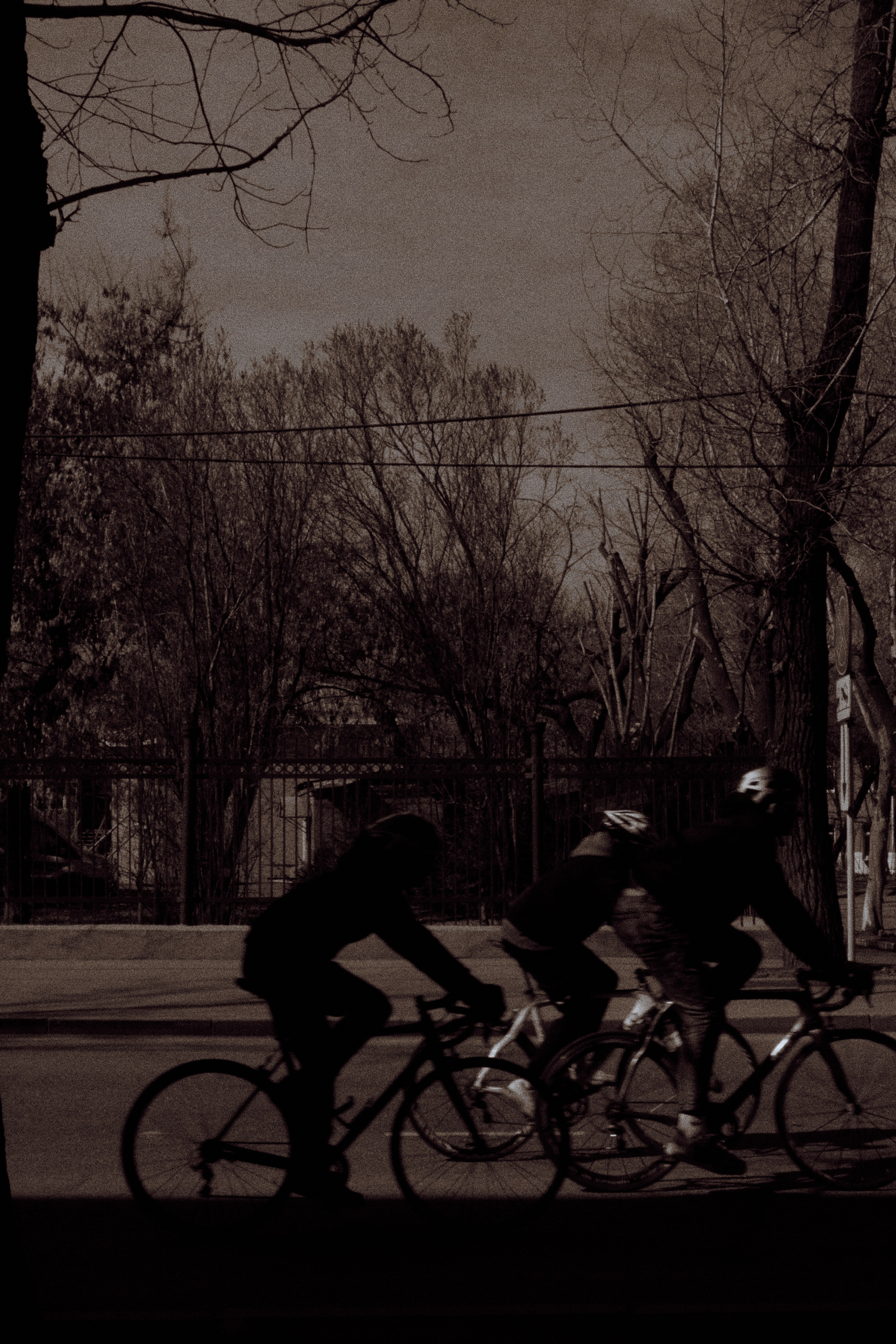 Muted Street Ride: Evening silhouettes of cyclists glide through a shadowed park