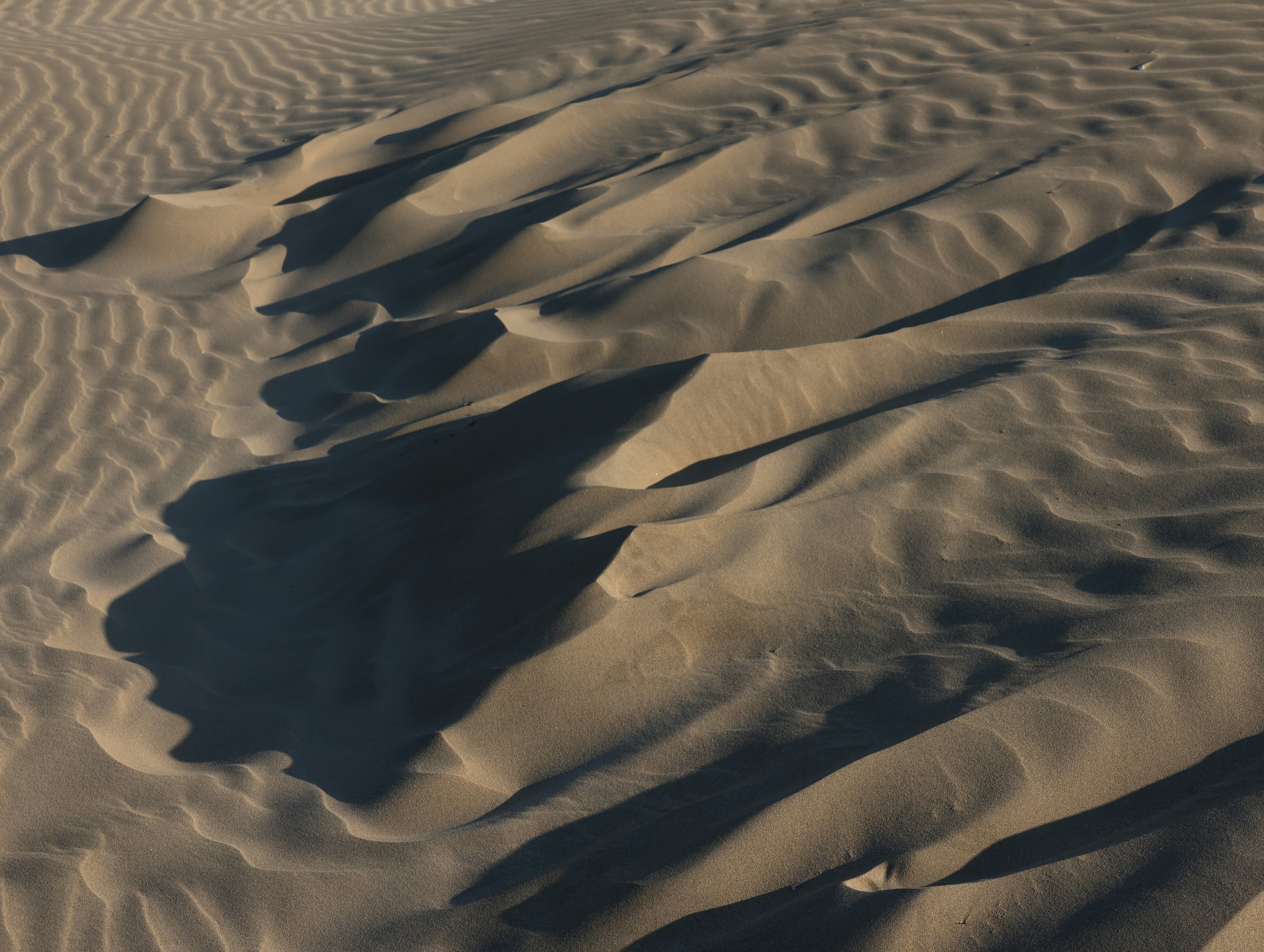 Dune Shadows: Ripples of Light Across Desert Silence