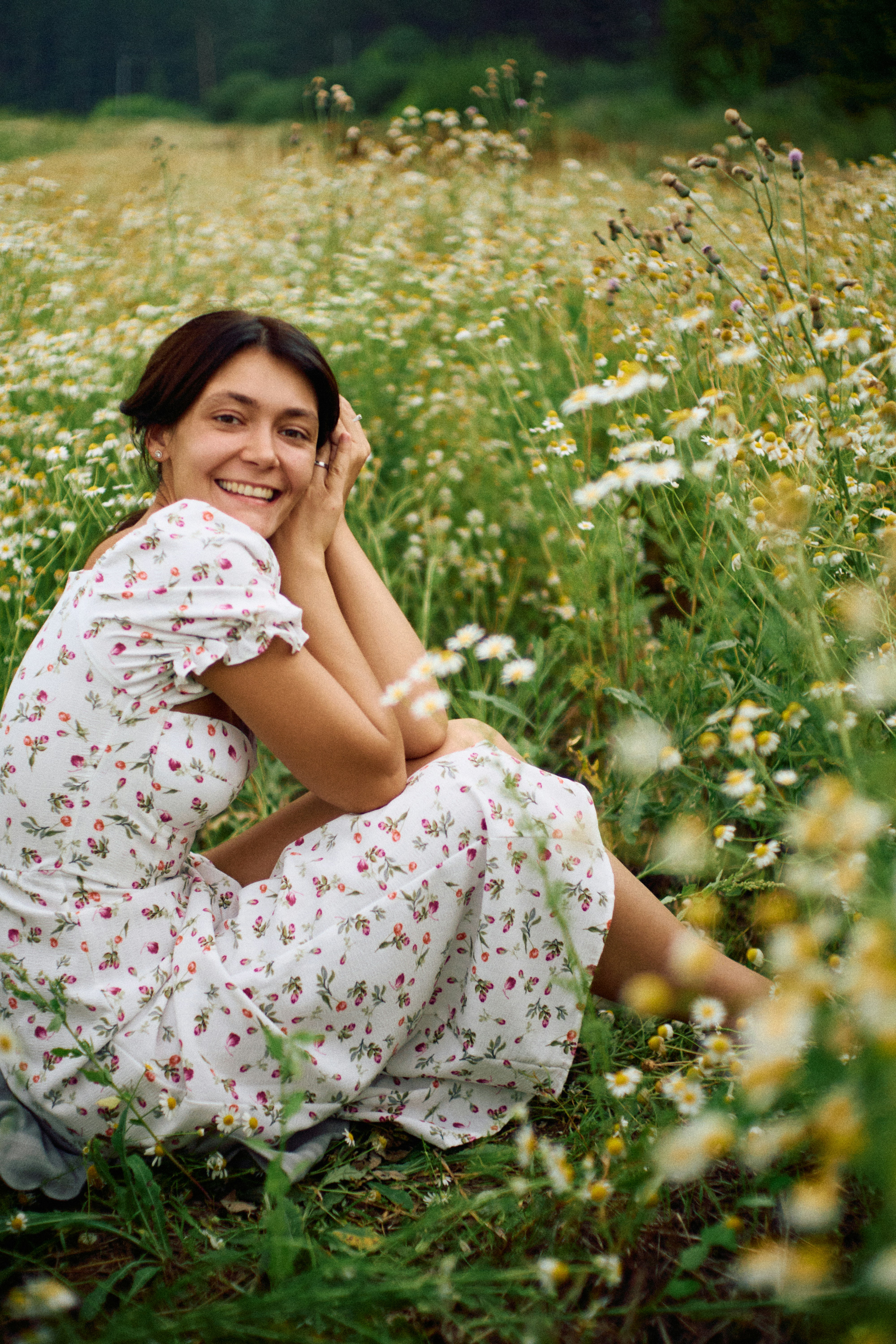 Midsummer Smile: A Bright Moment in a Meadow of daisies