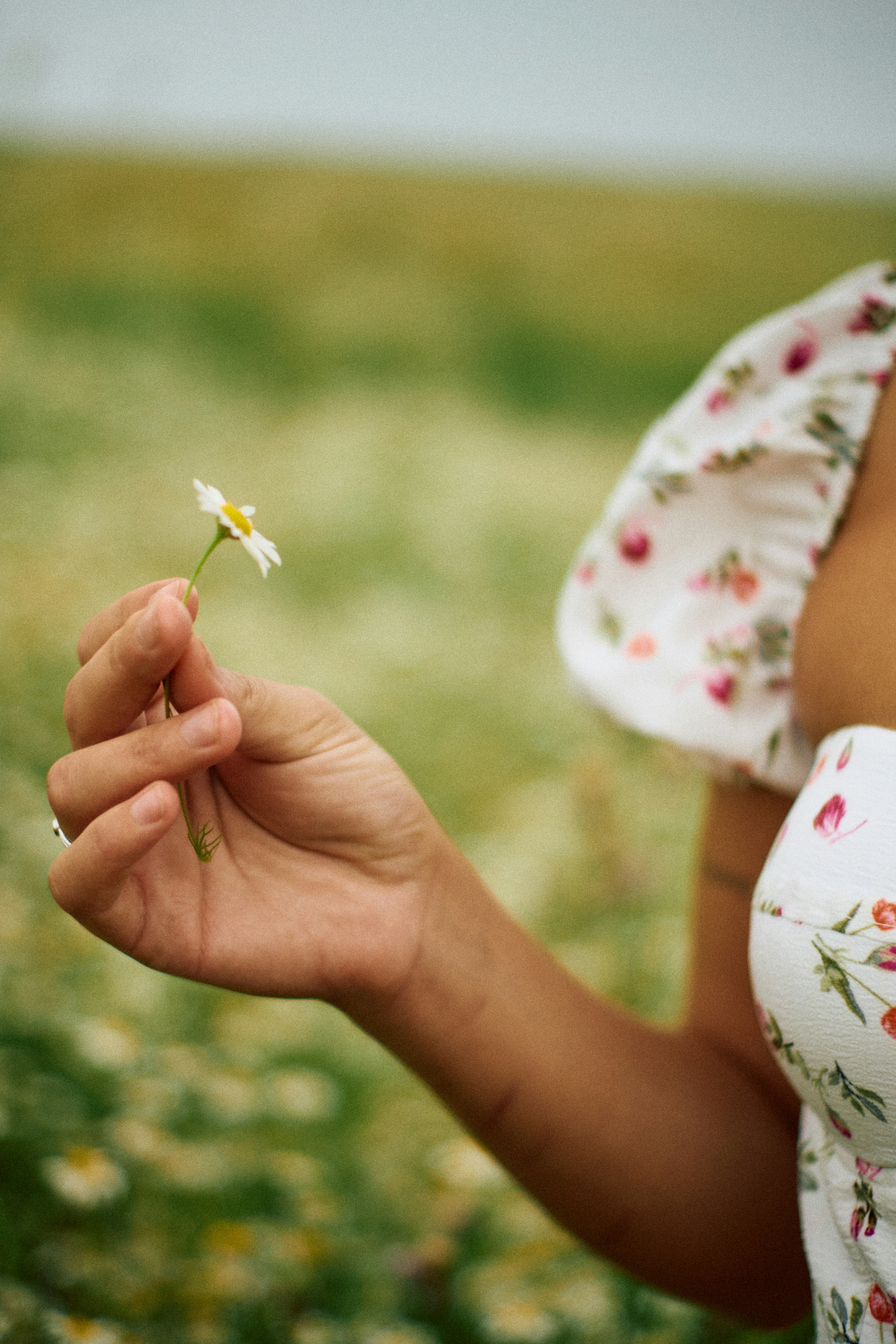  Hands gently hold a small white daisy against a blurred field background, with a floral-patterned dress visible on the right. The scene emphasizes a simple, tender gesture outdoors.