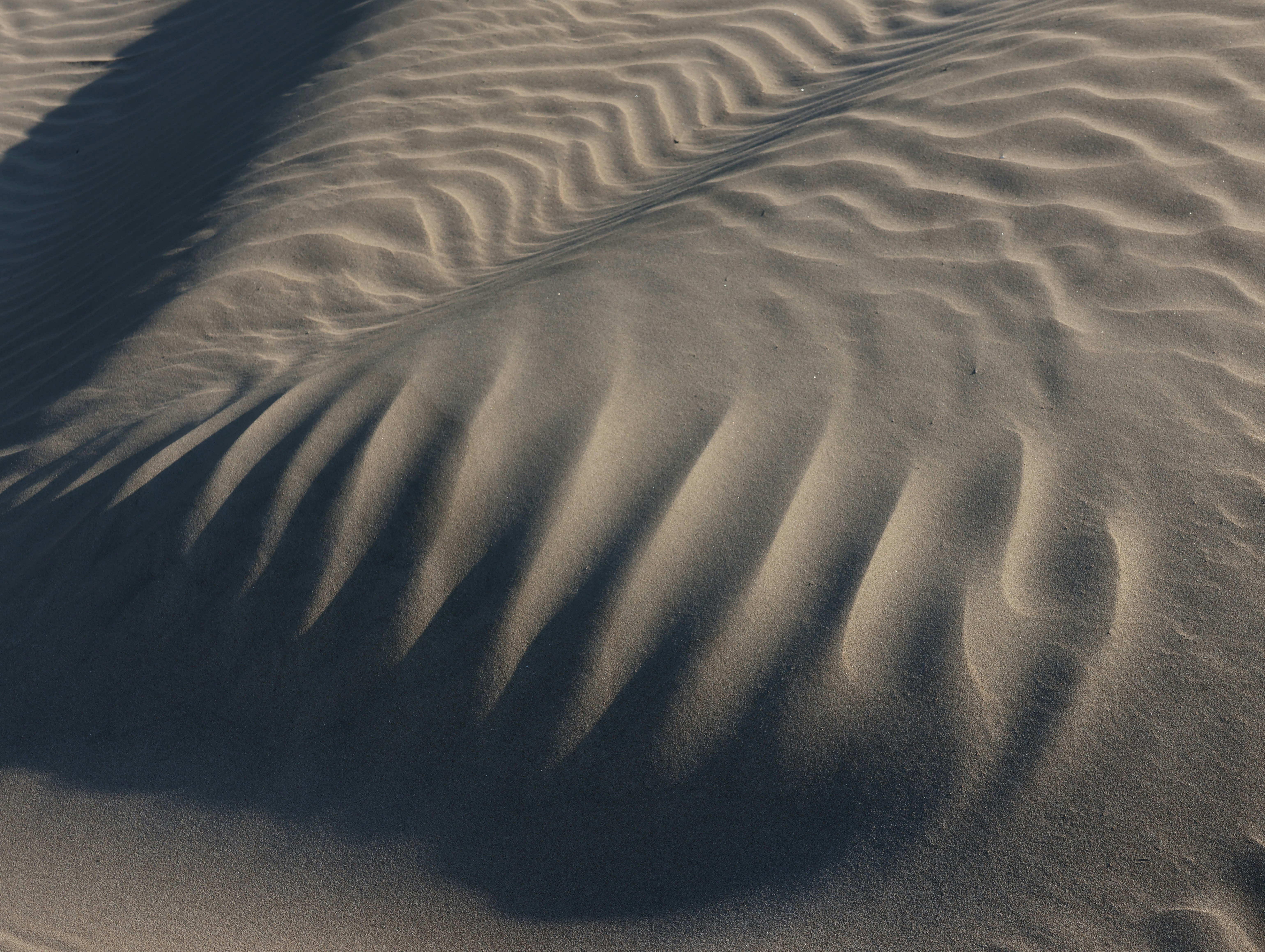 Wind-etched Sands: A Quiet Mirage of Dunes and Light