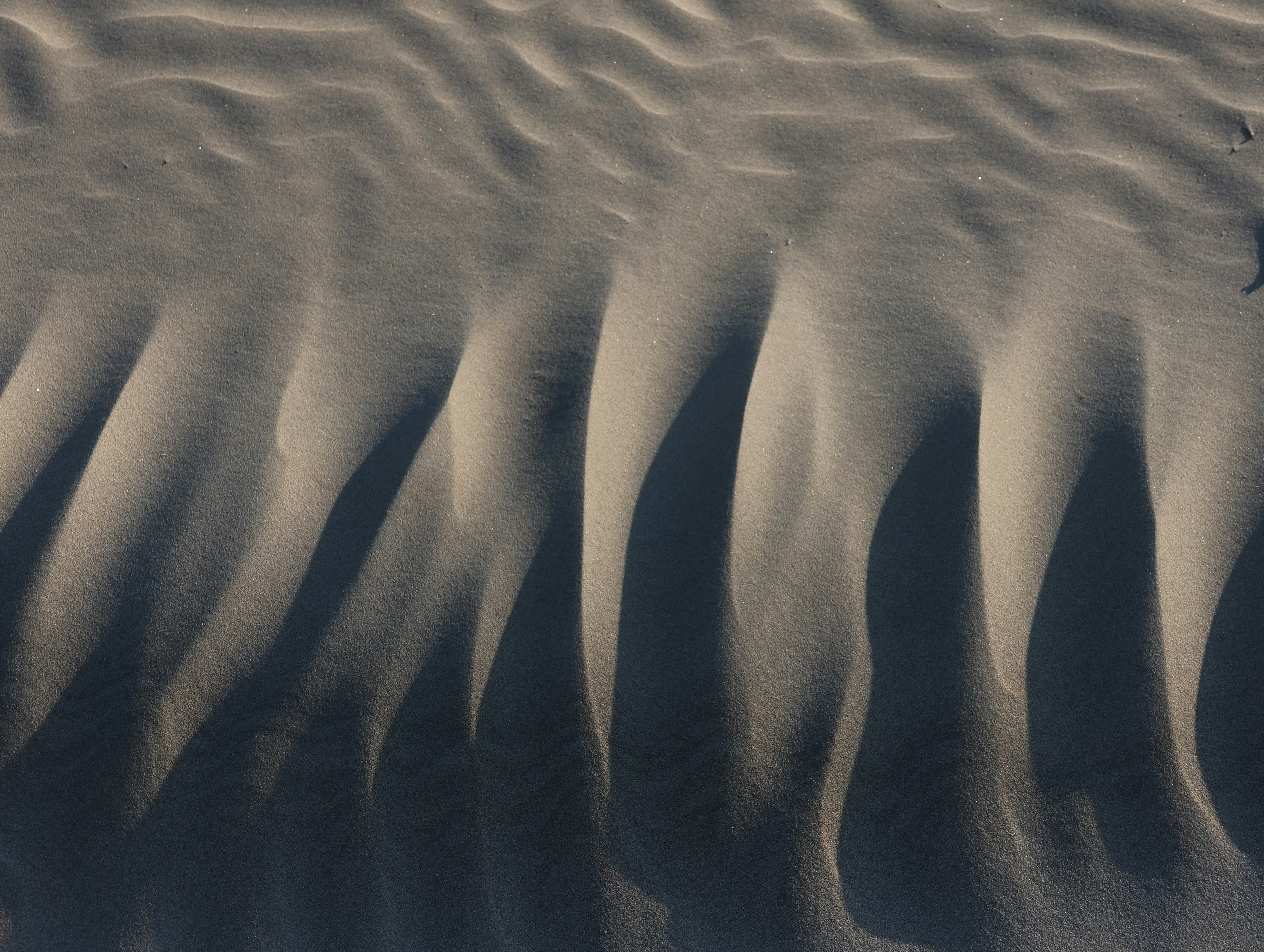 Rhythms of the Wind: Repeating Dune Ridges in Soft Light