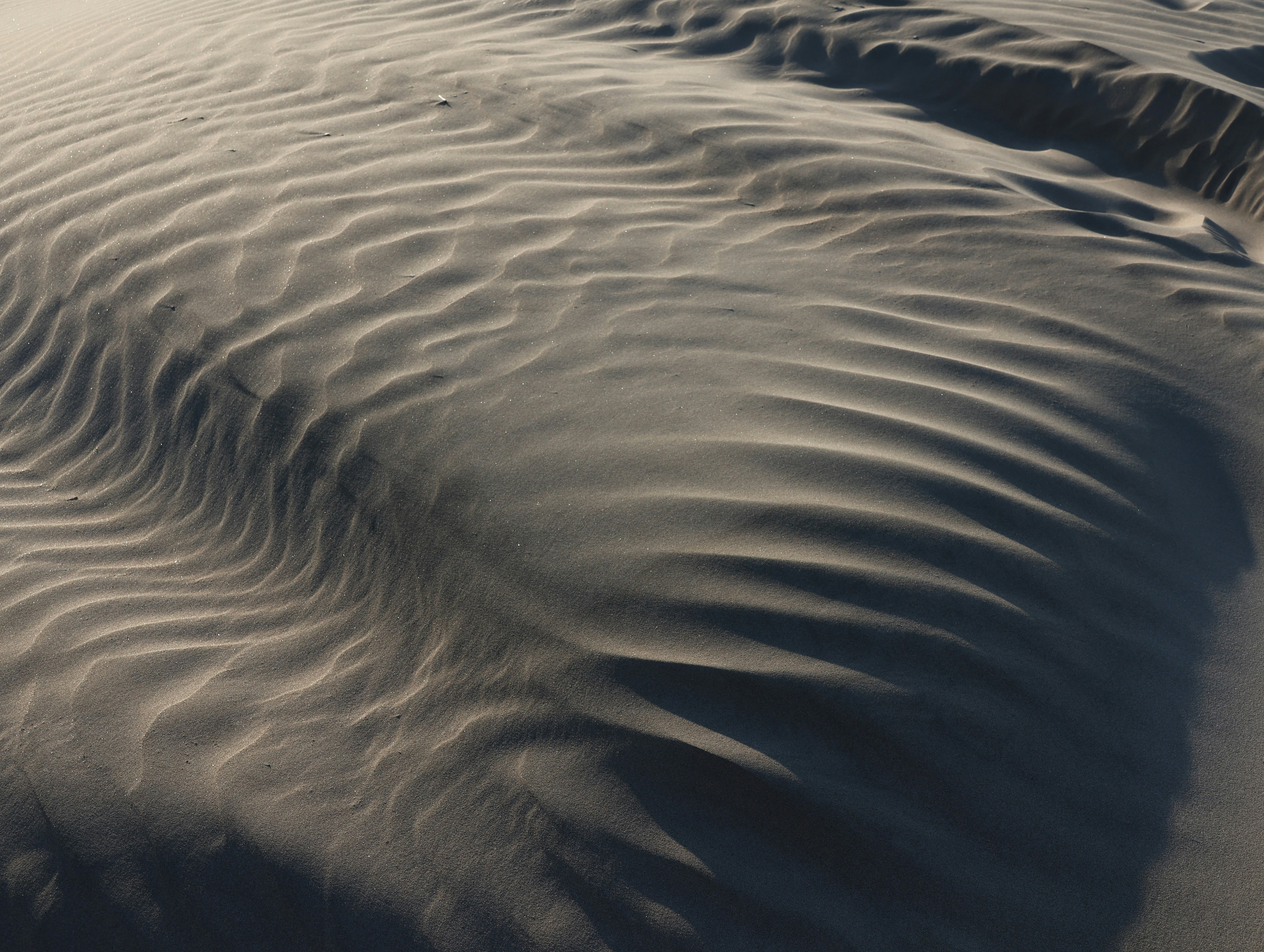 Echoes of Sand: Wind-Carved Ripples on Dune Surface