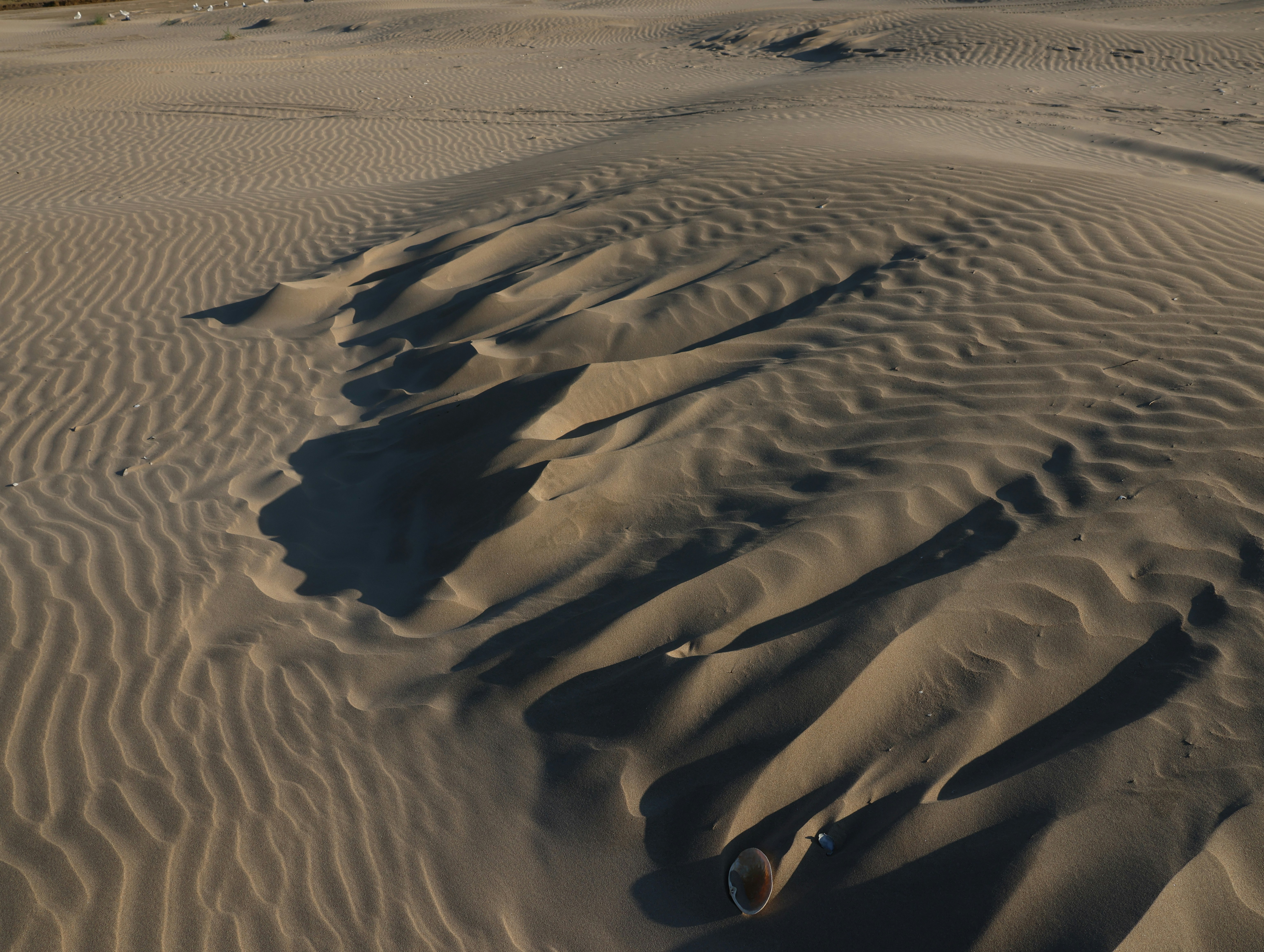 Wind-sculpted Crags in Quiet Dunes