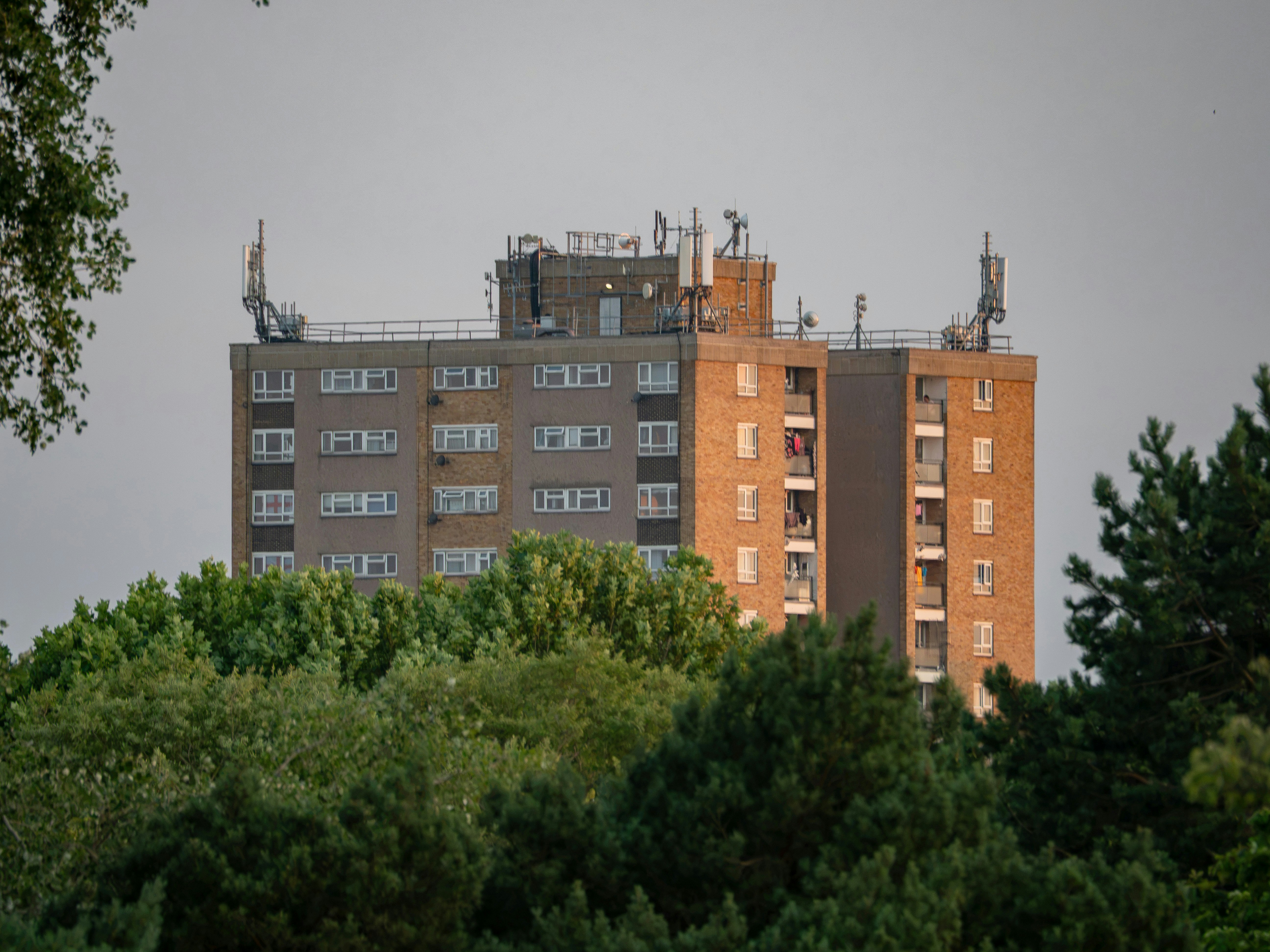 Brick apartment building rising over a dense treeline, with rooftop equipment visible against a pale sky.