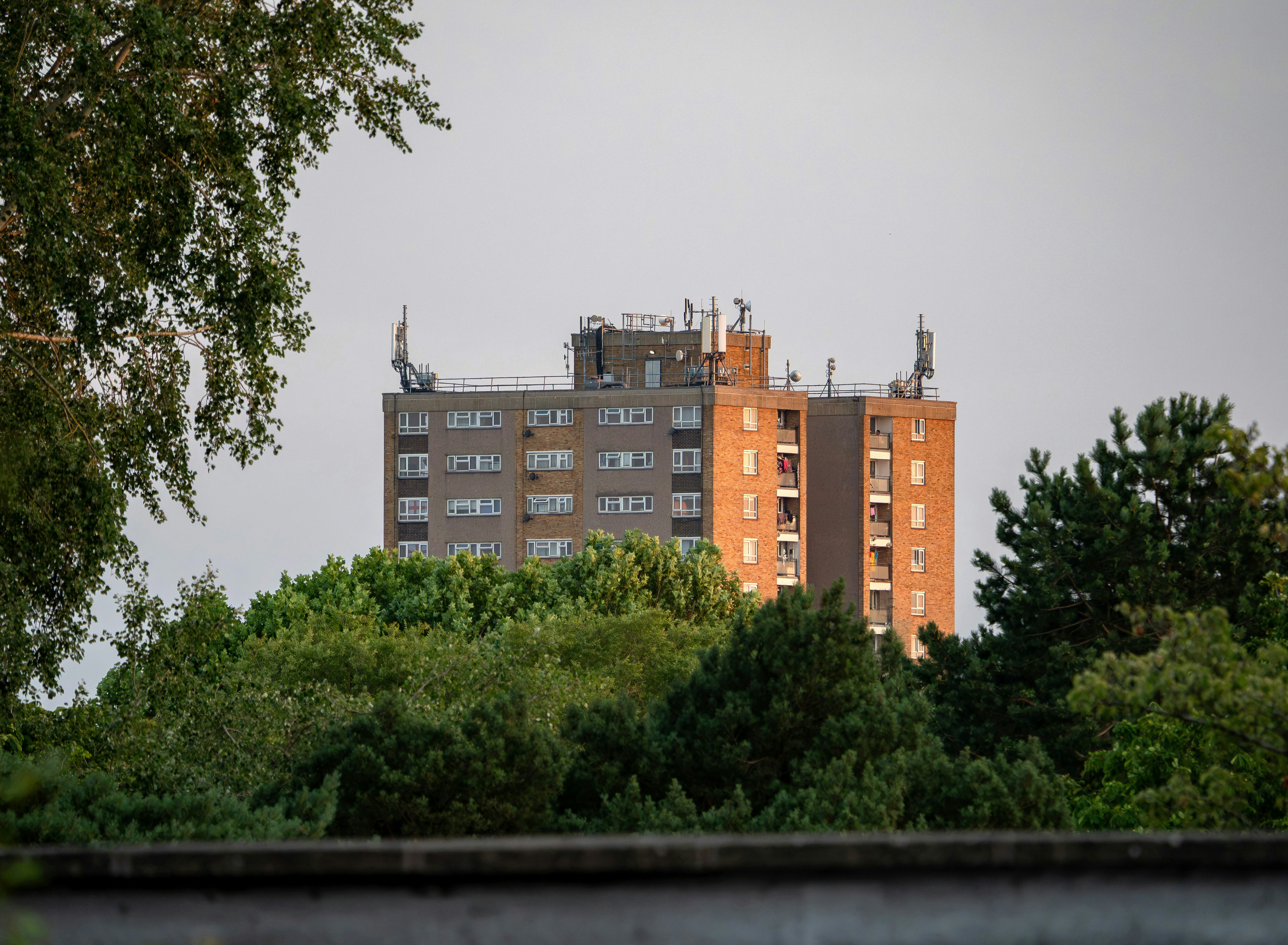 Tall brick apartment building peeks above a dense canopy, foregrounded by a dark horizontal ledge; a quiet urban vista highlighting mid-rise architecture with surrounding greenery.