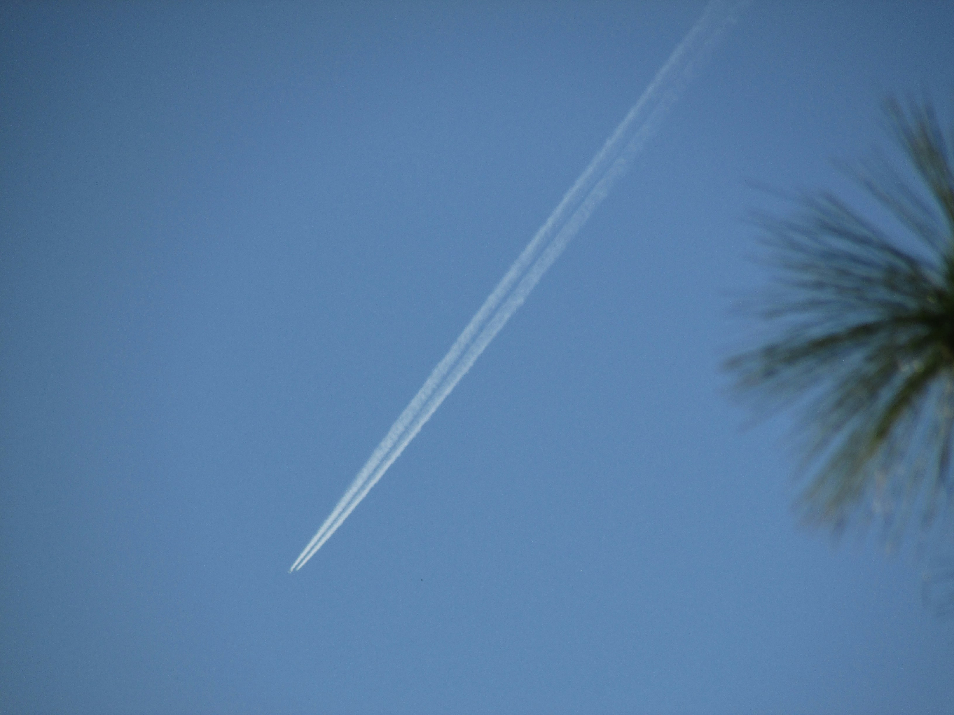 Contrail Arc: Jet Stream Across a Clear Sky
