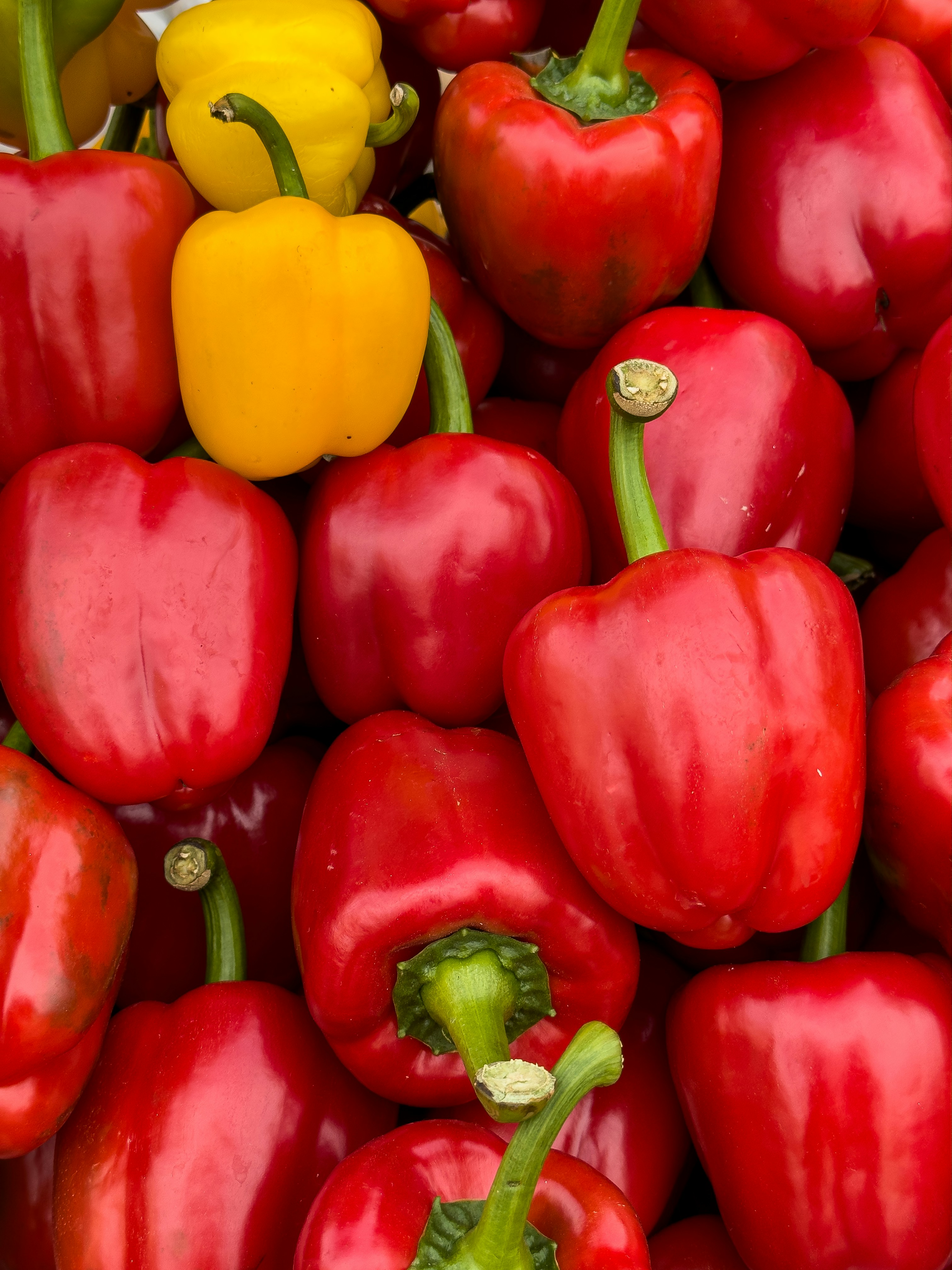 Yellow Bell Pepper Among Red Bells: a Burst of Color in a Market Stack