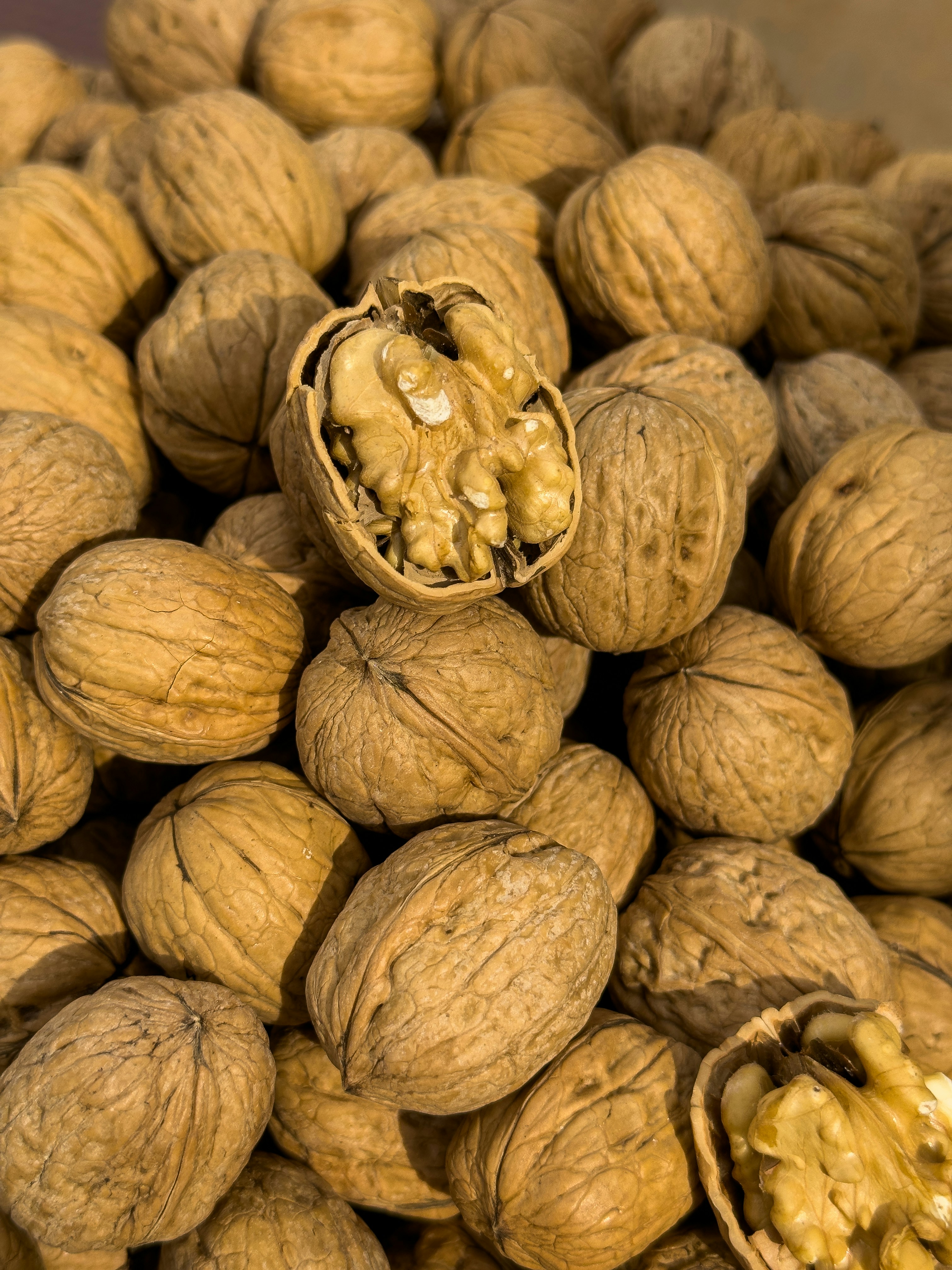 Central Walnut Kernel Emergence Amid a Sea of Shells