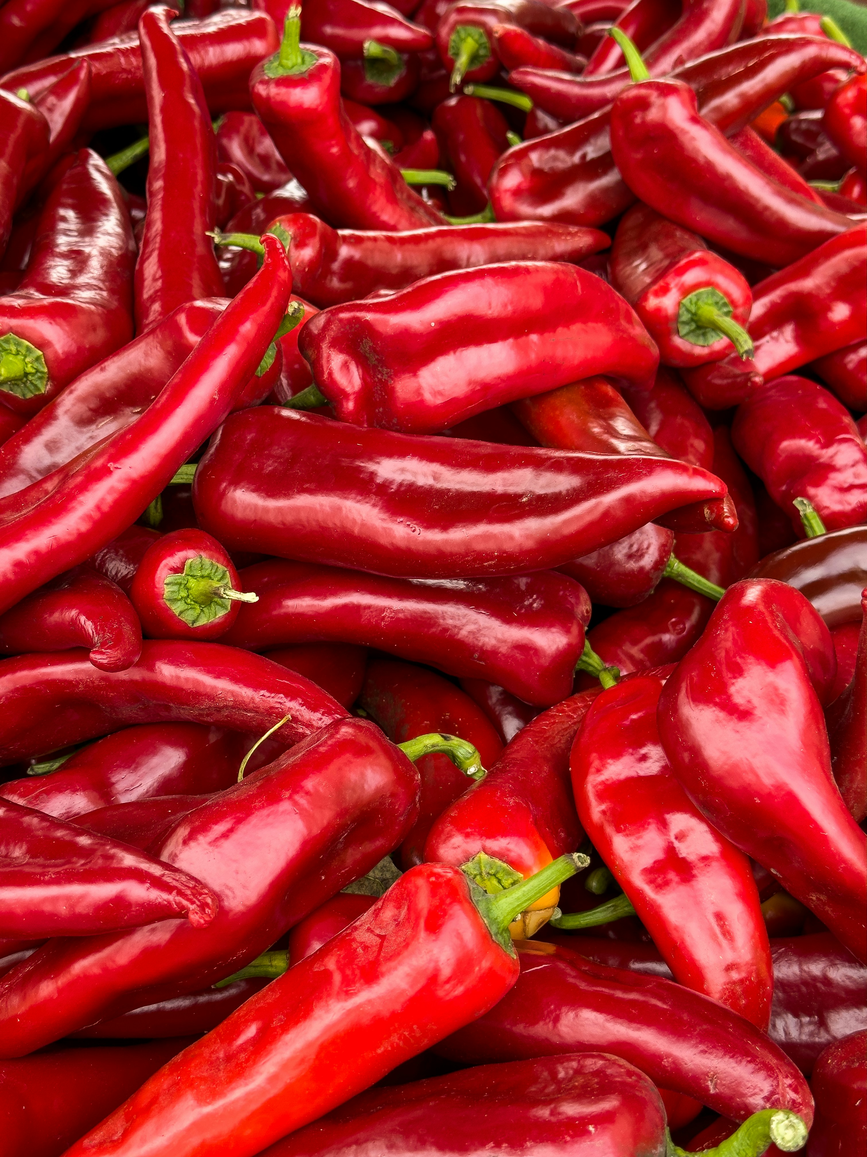 Red Pepper Mosaic: A Close‑Up Field of glossy chili jackets