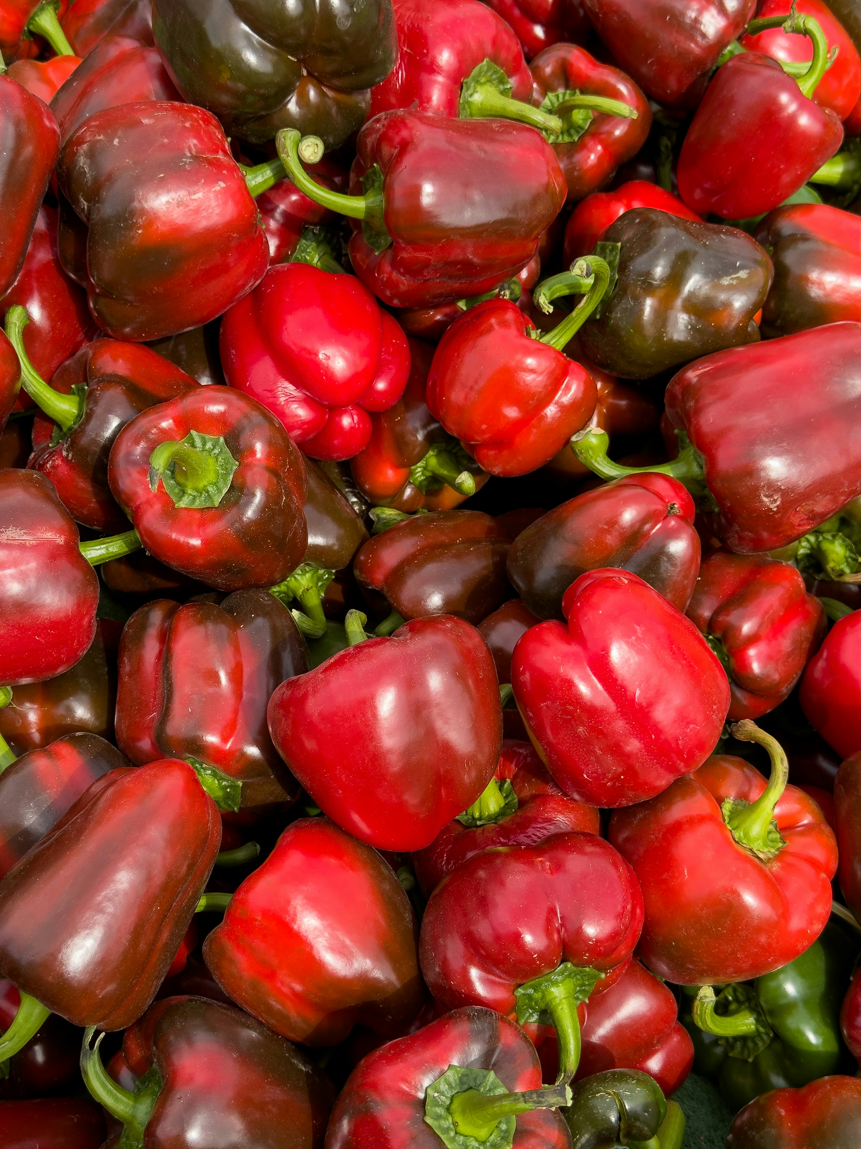In a Burst of Red: Pepper Chronicles