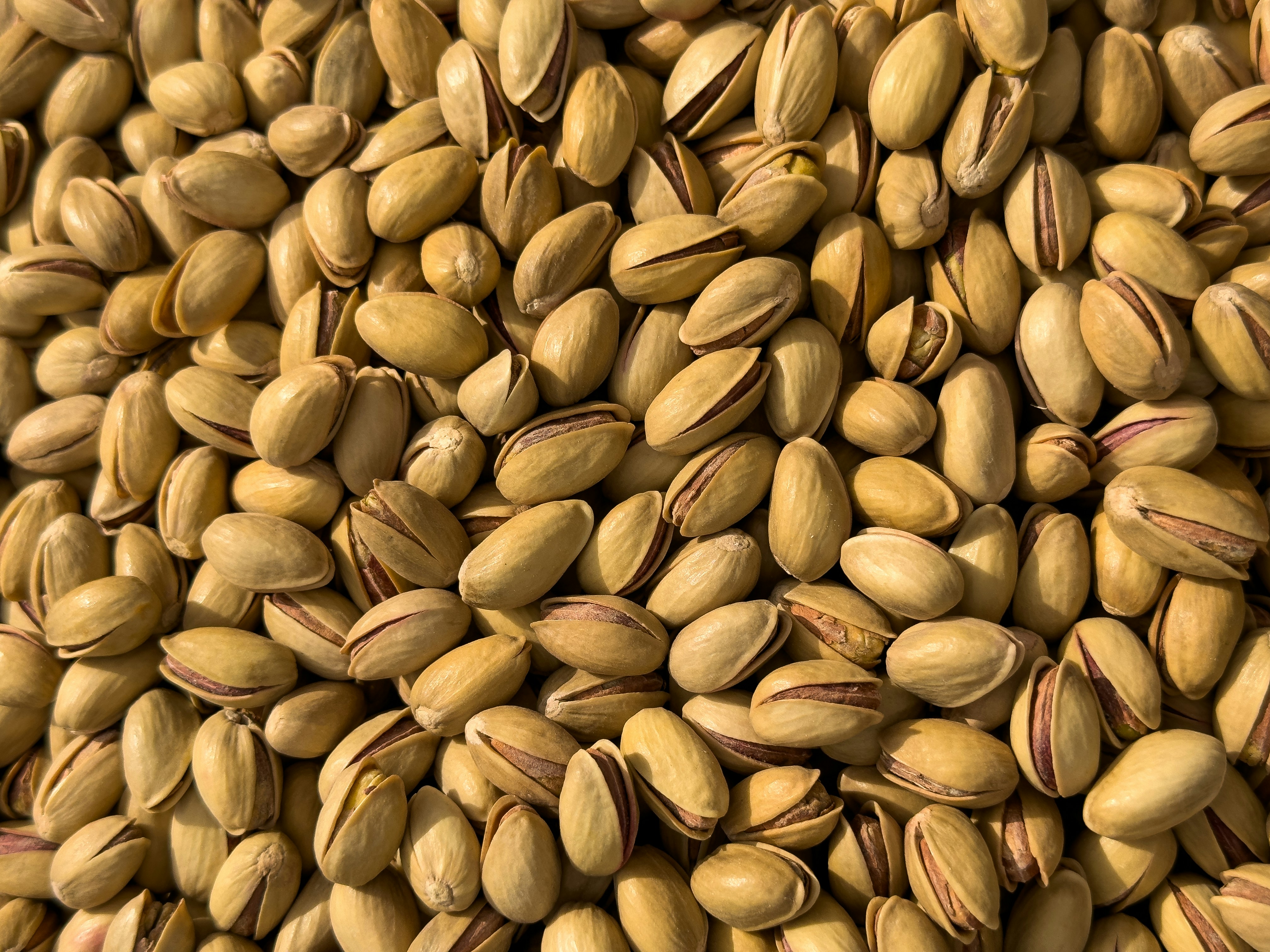 Sunlit Pistachio Mosaic