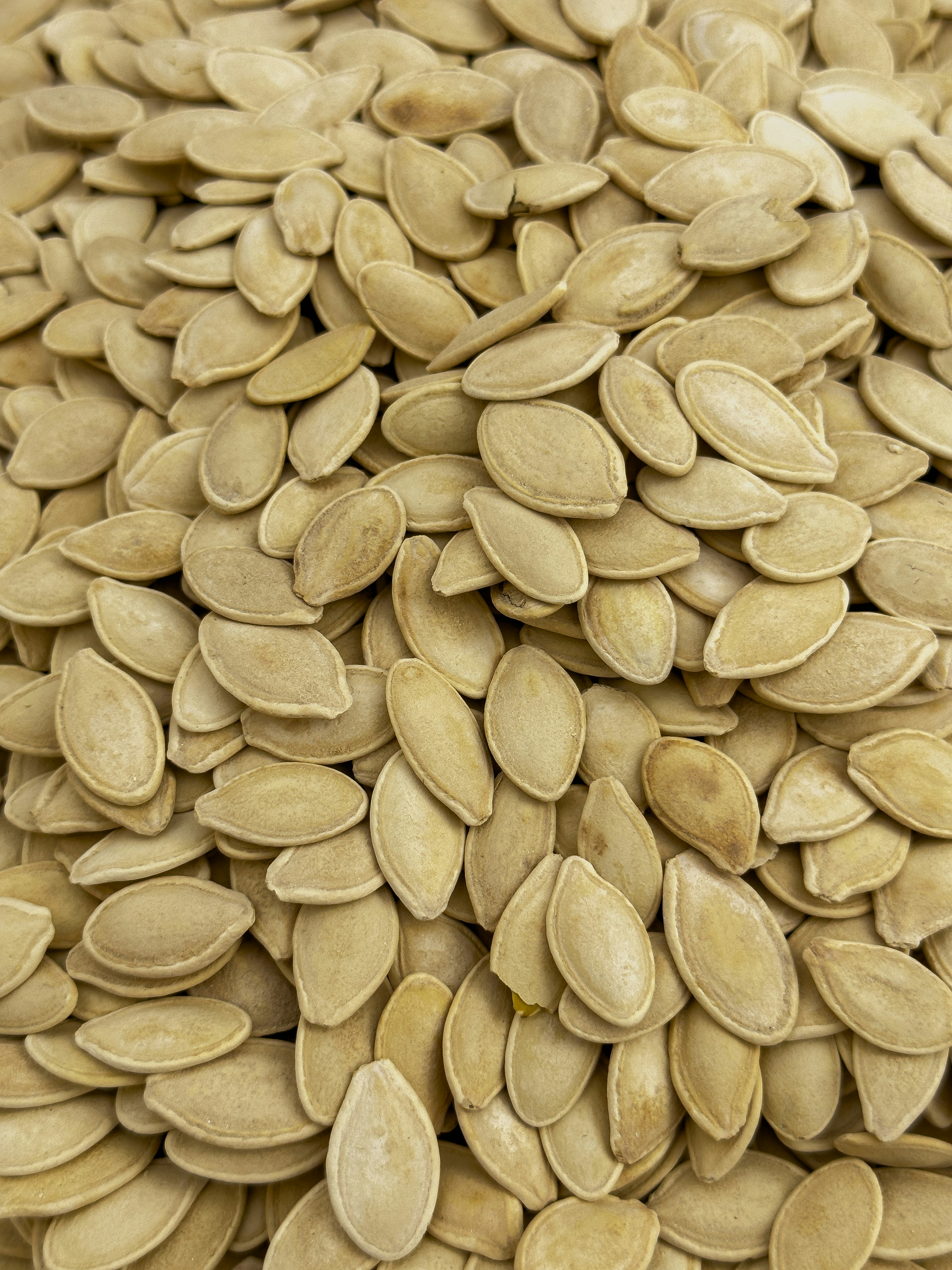 Sunlit Sesame Seas: A Fold of Plant-Seed Hues