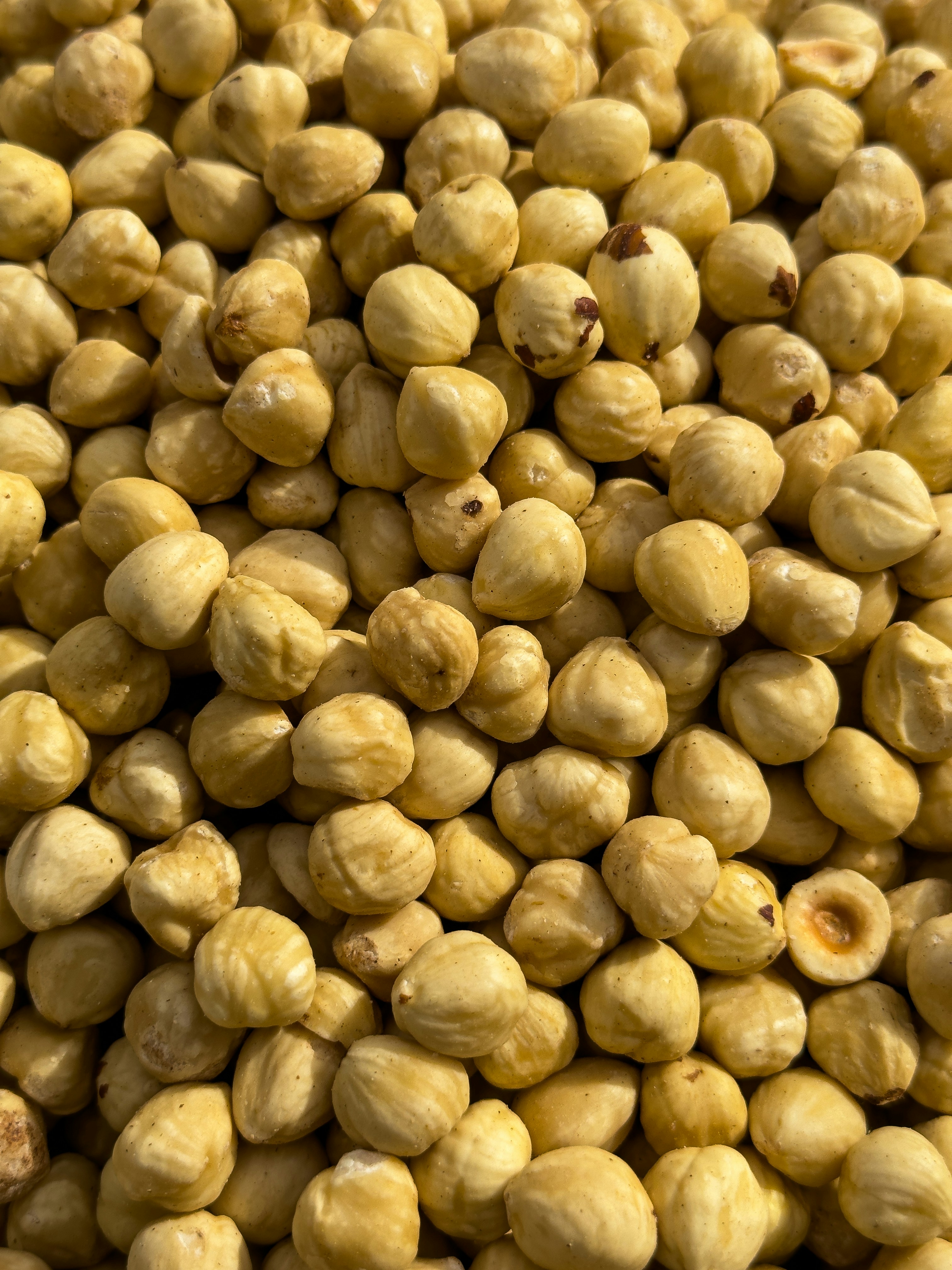 Golden Habit: A Close Clump of Roasted Hazelnuts