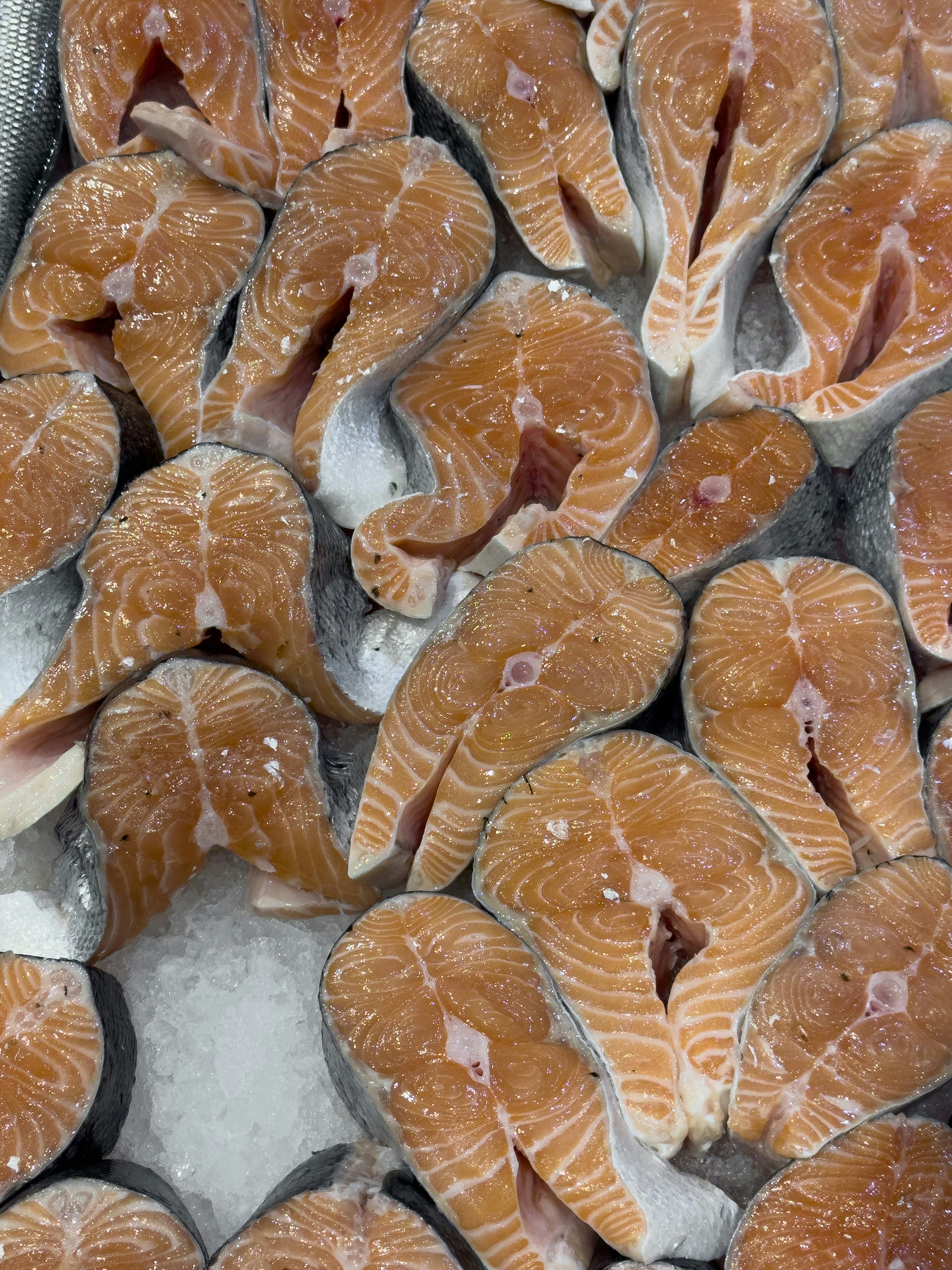Citrus Canyon of Salmon: A Carousel of Salmon Steaks on Ice